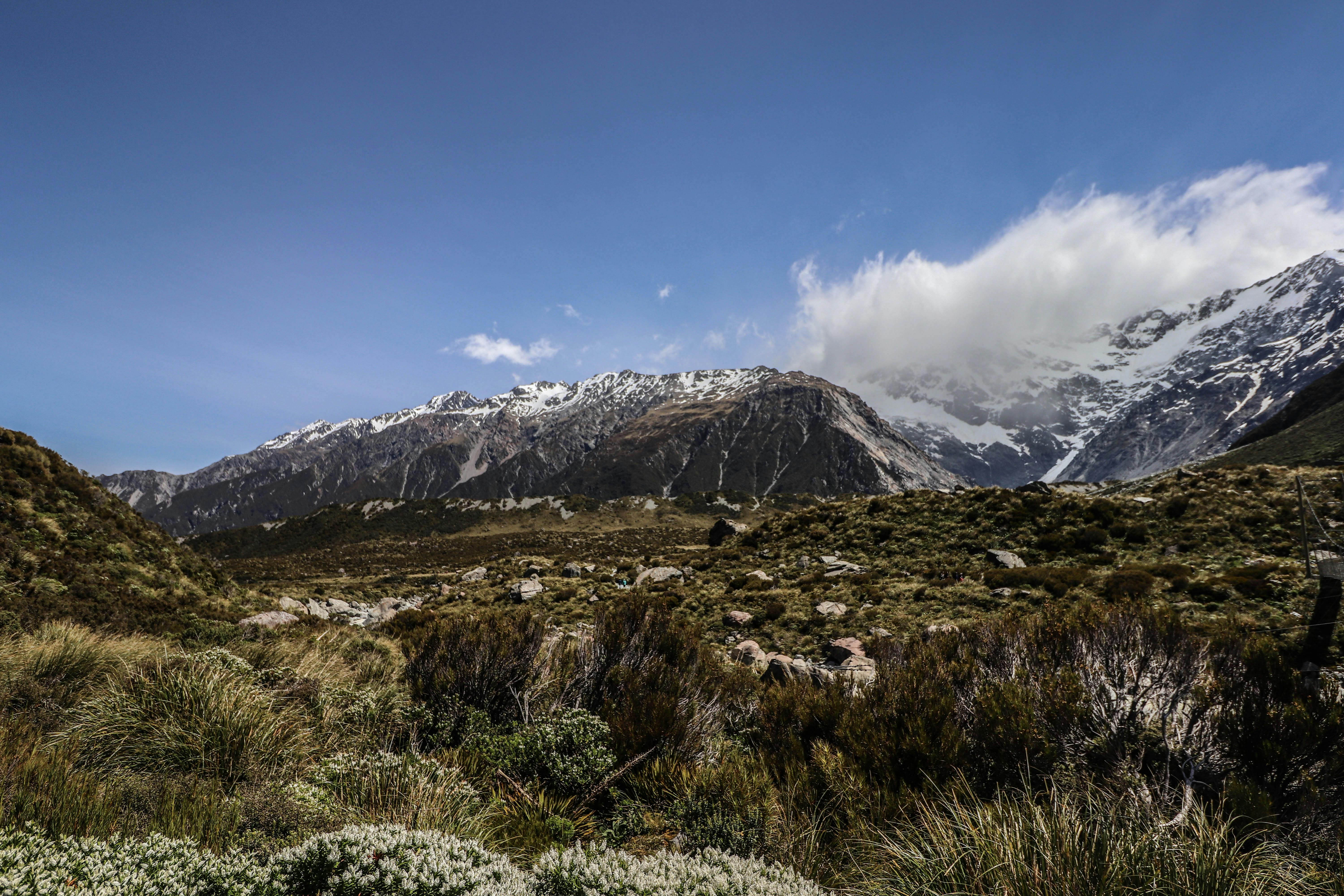 Belle Co · Photography