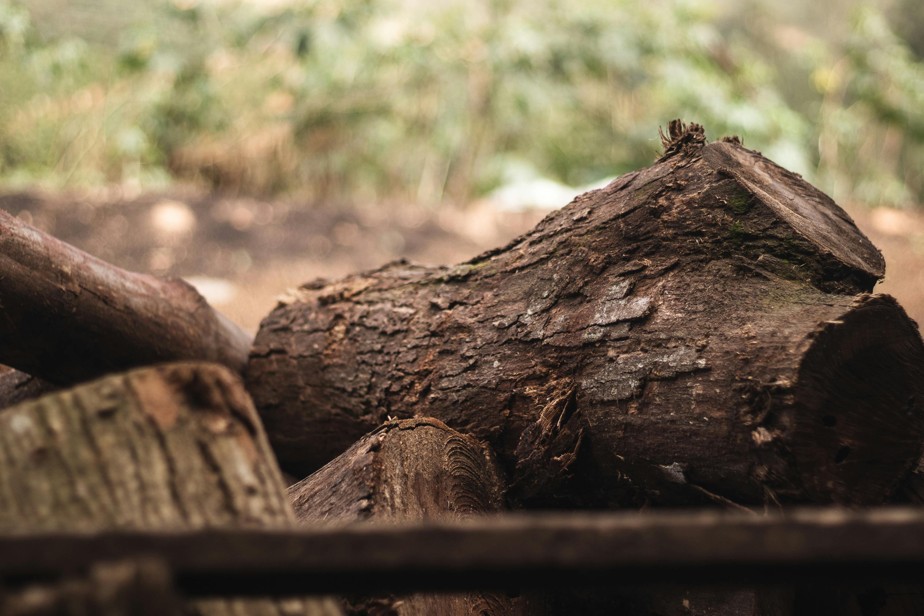 Brown Wood Logs · Free Stock Photo
