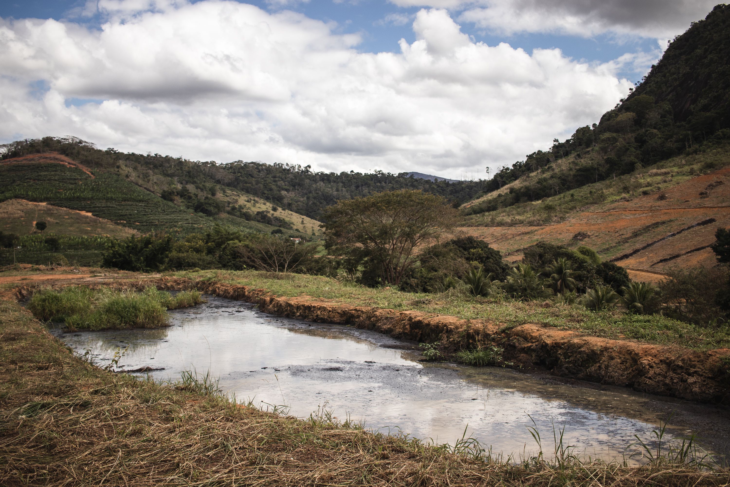Water Catchment Photos, Download The BEST Free Water Catchment Stock ...