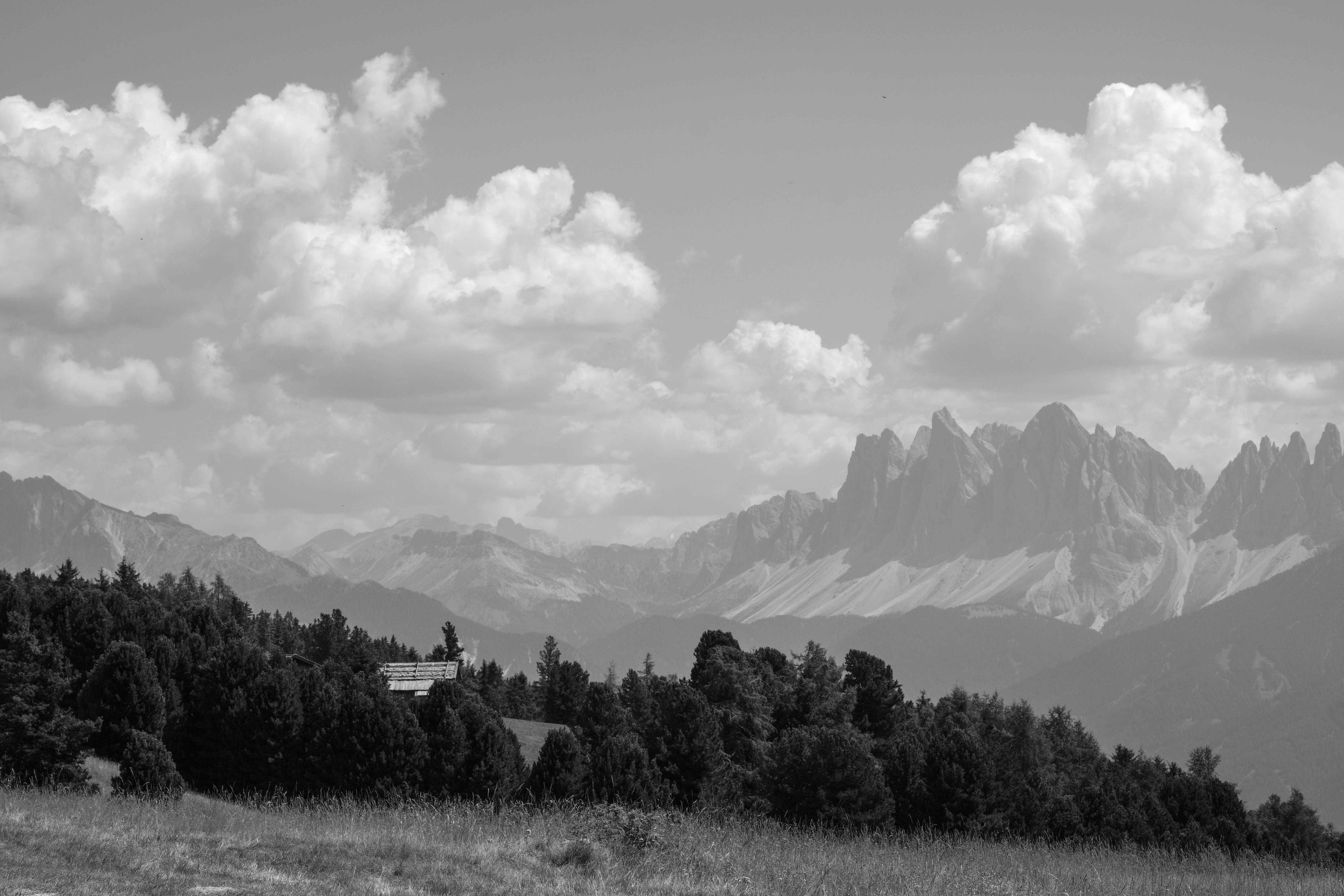 Grayscale Photo of Mountain and Trees · Free Stock Photo