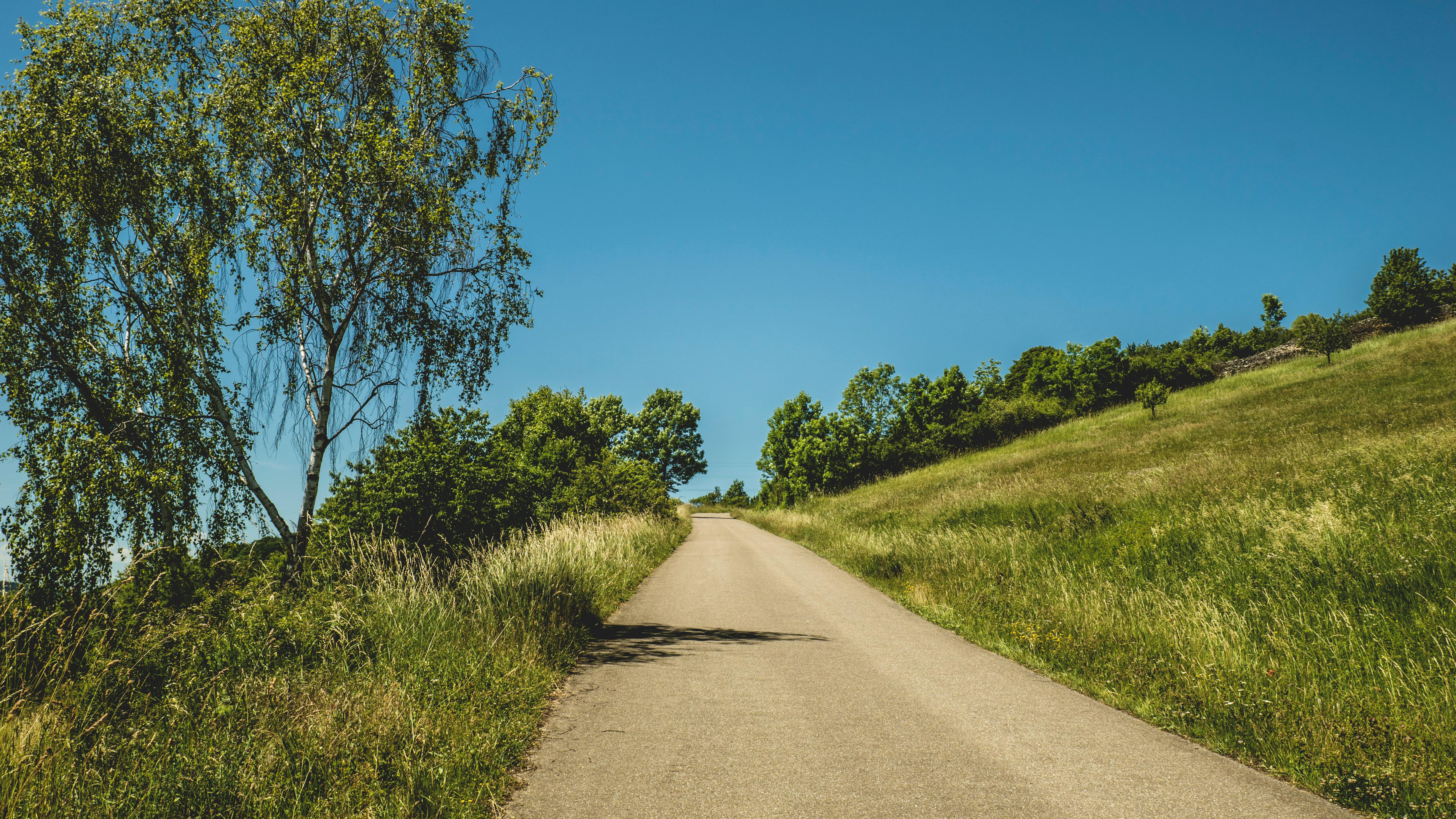 Photo of Paved Pathway Near Grass and Plants · Free Stock Photo