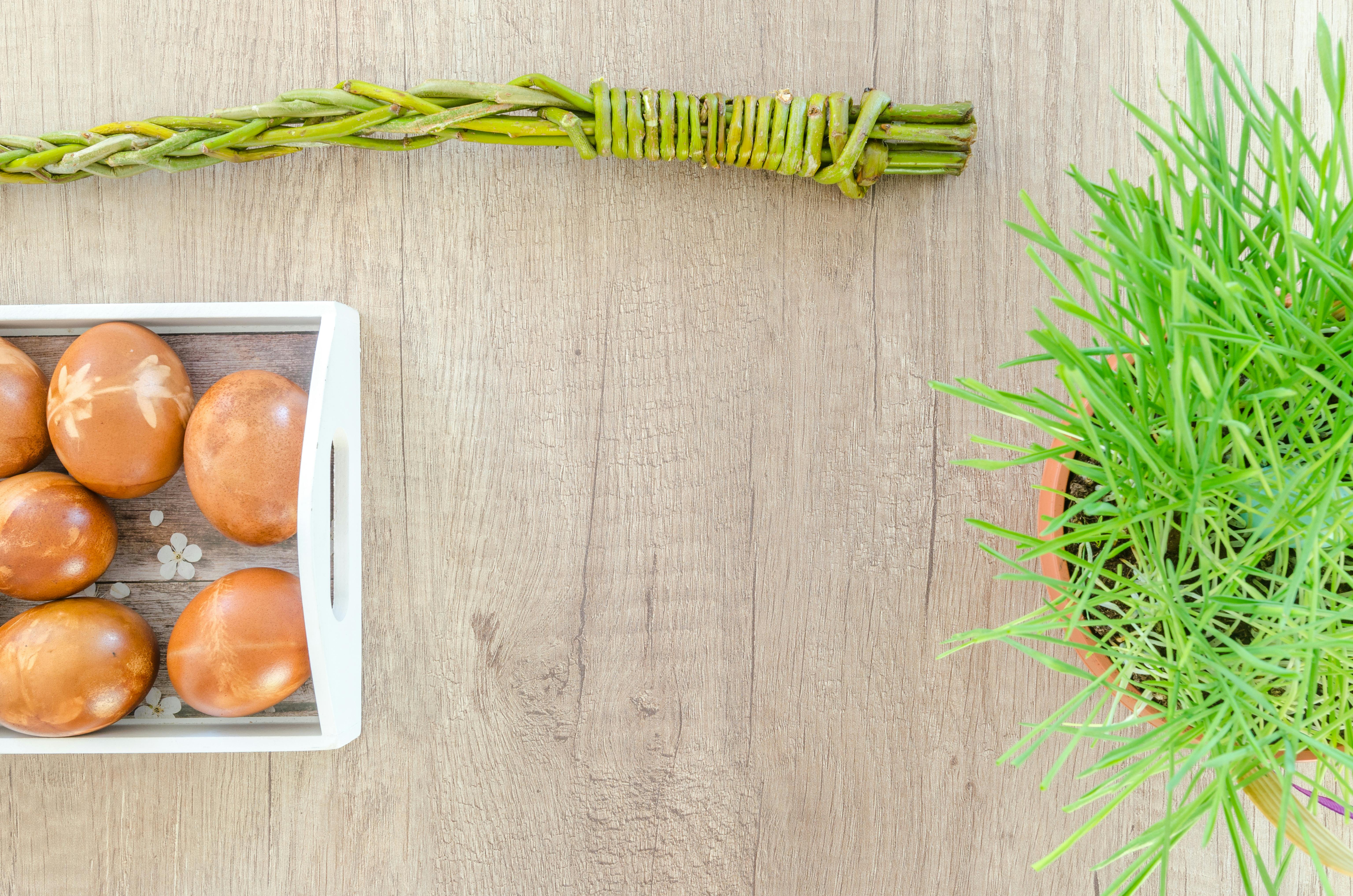 Decorated Line Photos, Download The BEST Free Decorated Line Stock ...