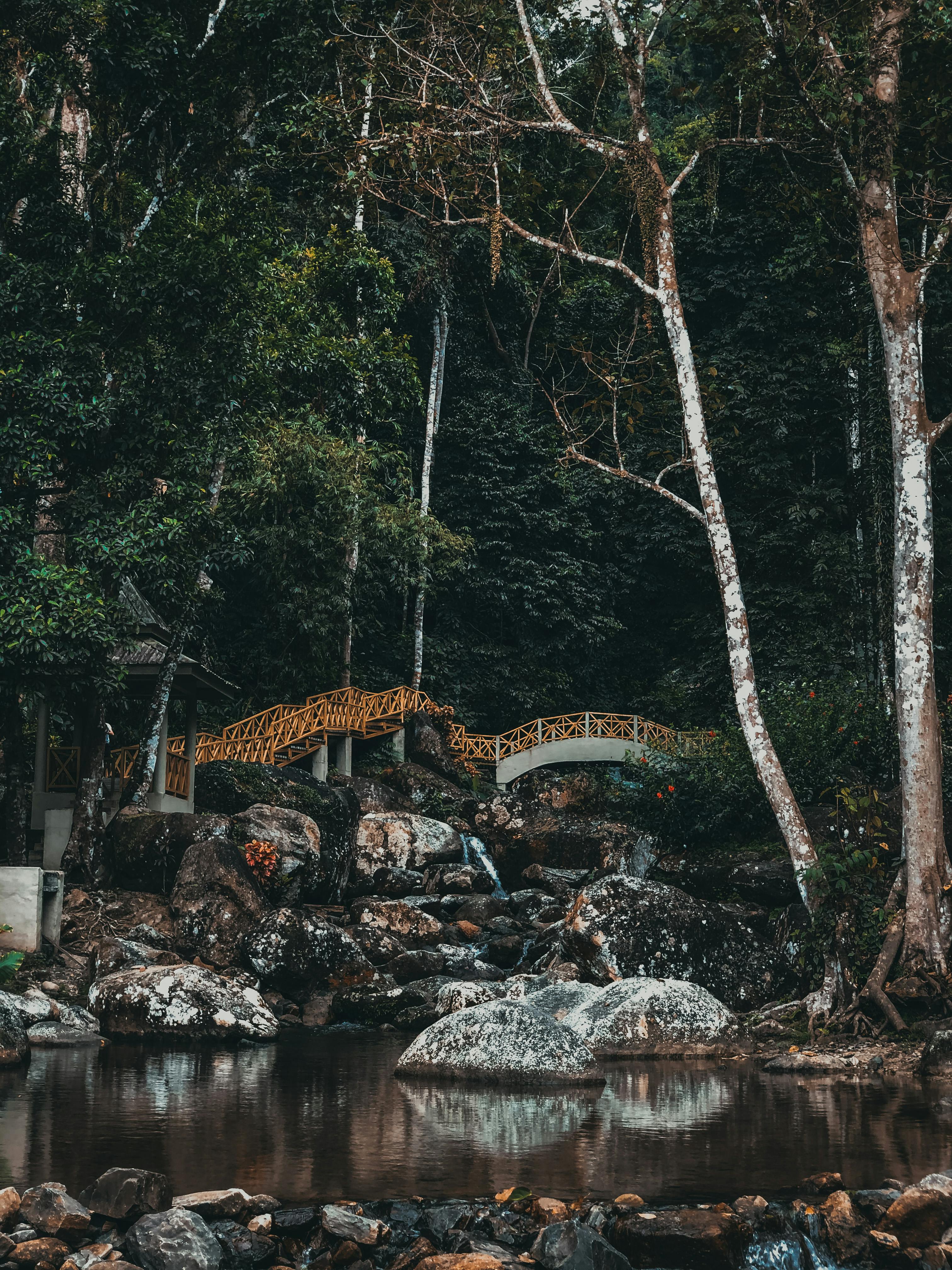 Bridge on Rocky River · Free Stock Photo