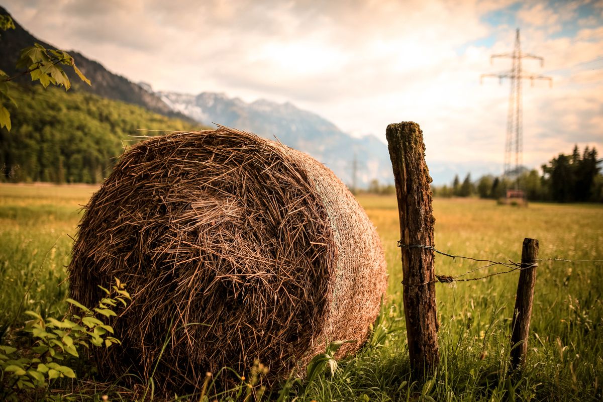 Country Photos, Download The BEST Free Country Stock Photos & HD Images