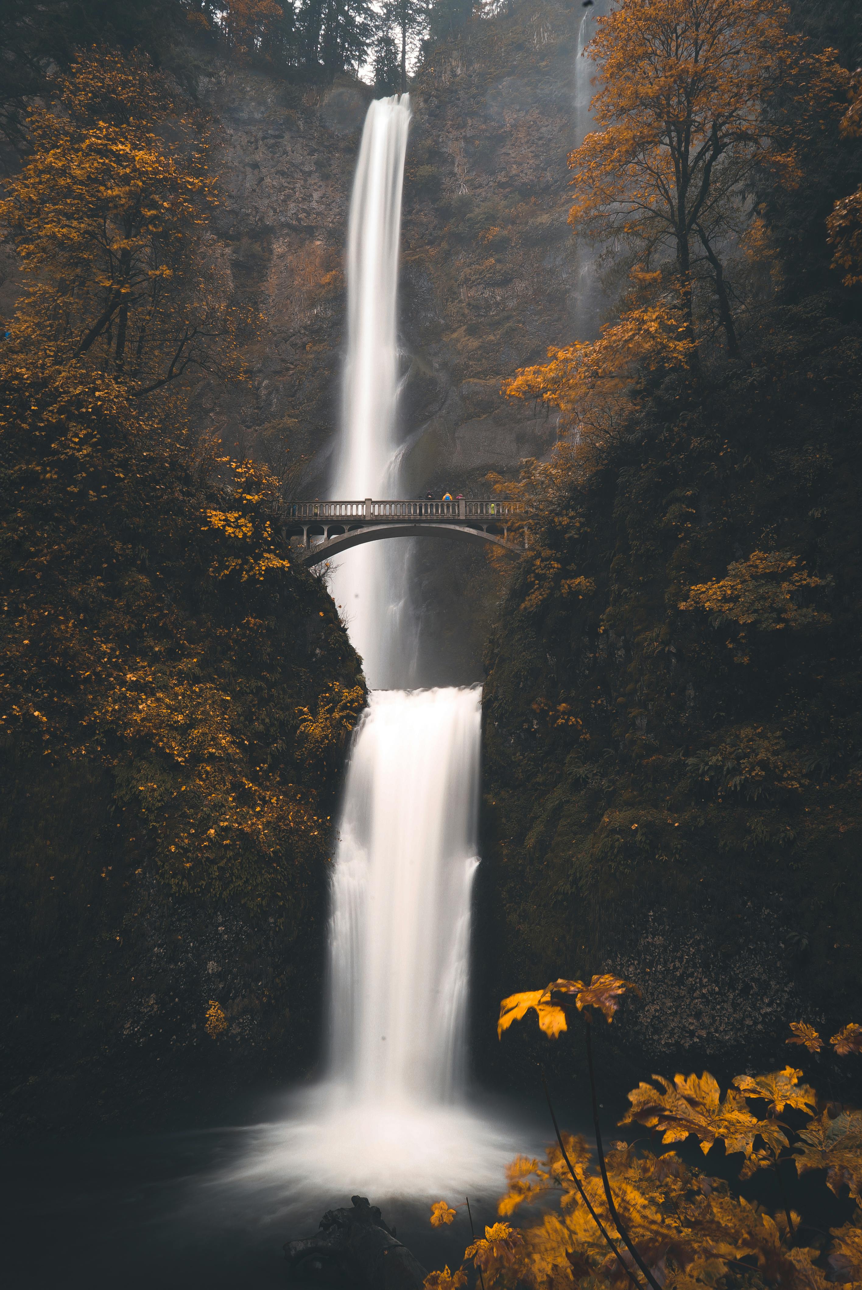 Bridge over waterfall streaming in autumn forest · Free Stock Photo