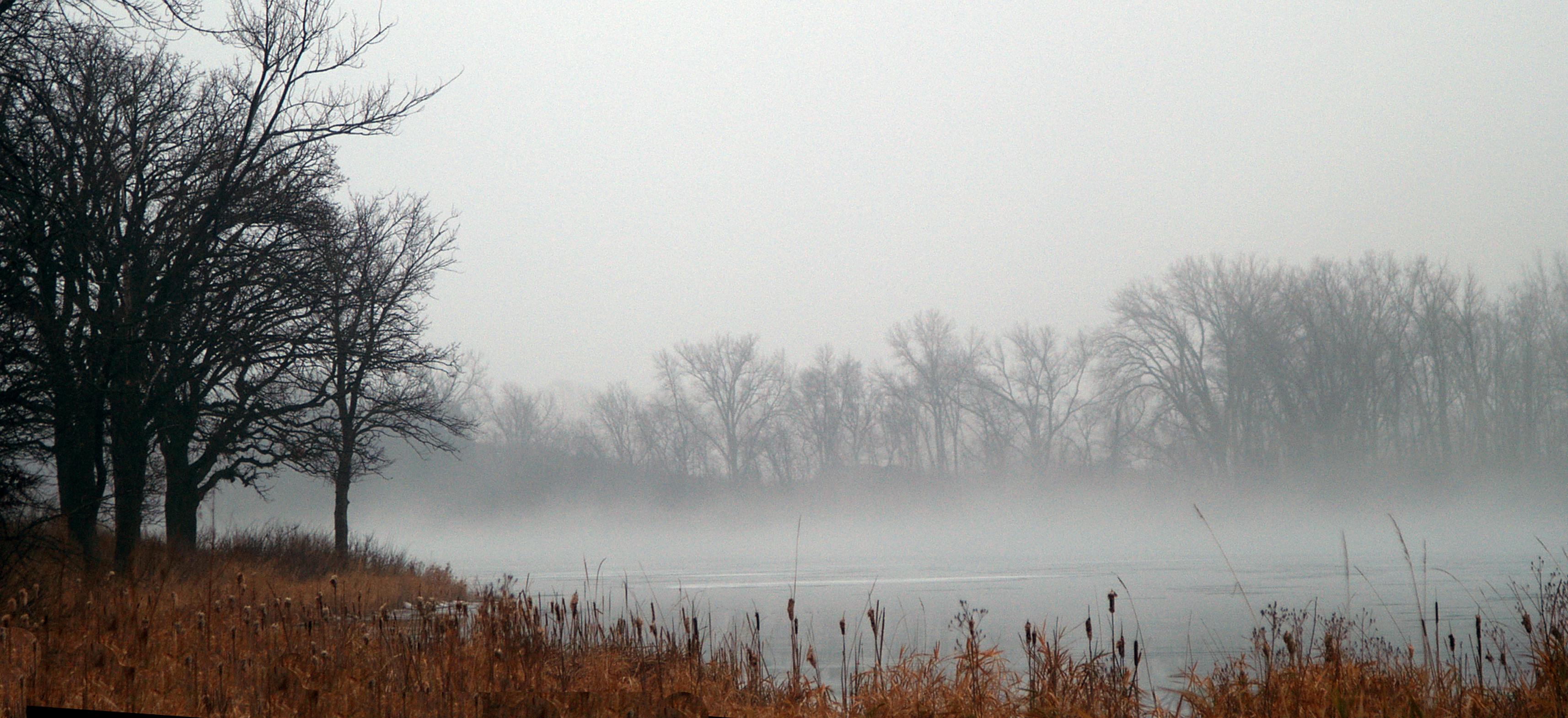 Winter 12 Photos & Videos Collected by Christopher Moon