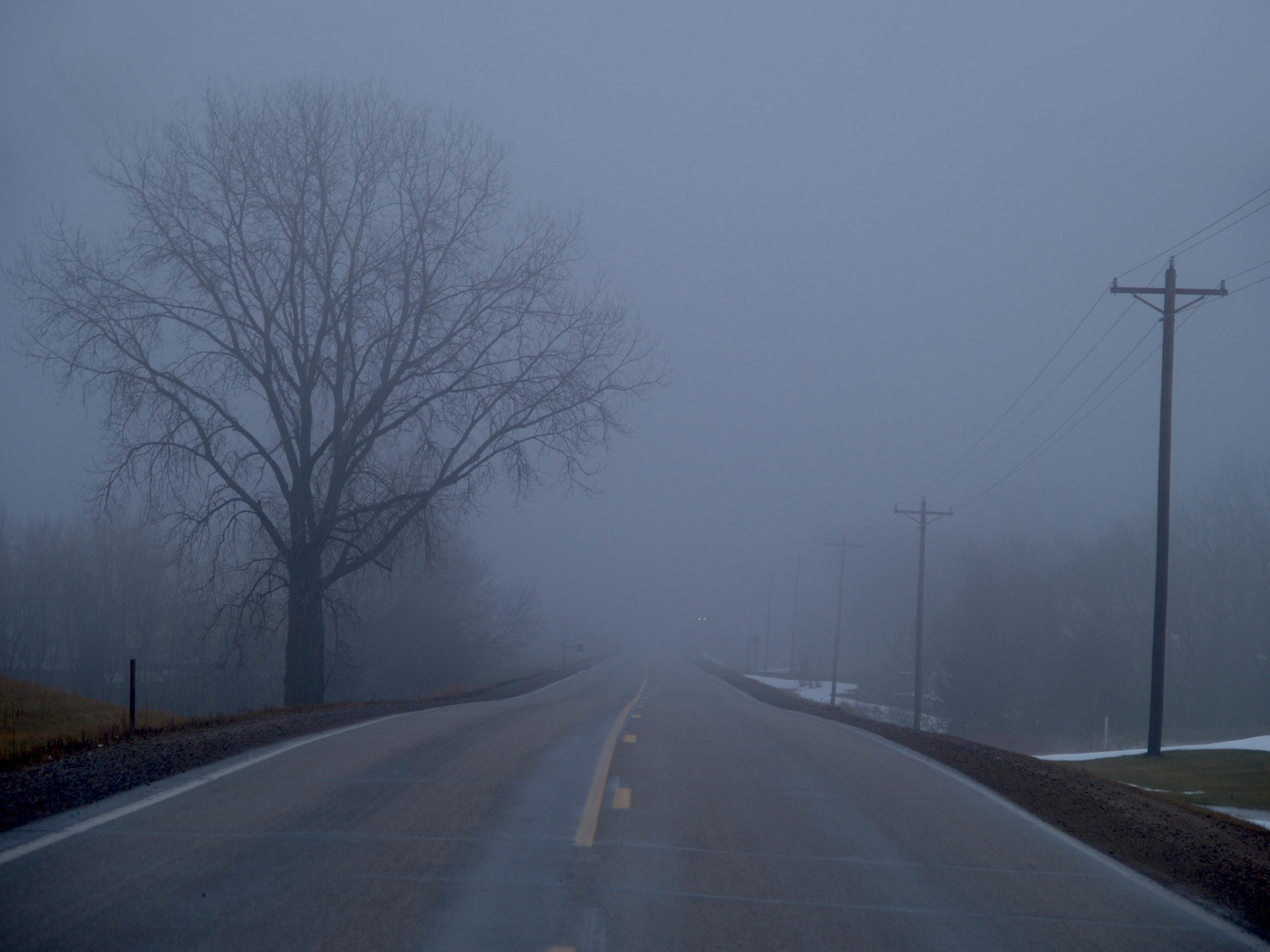 Winter 12 Photos & Videos Collected by Christopher Moon