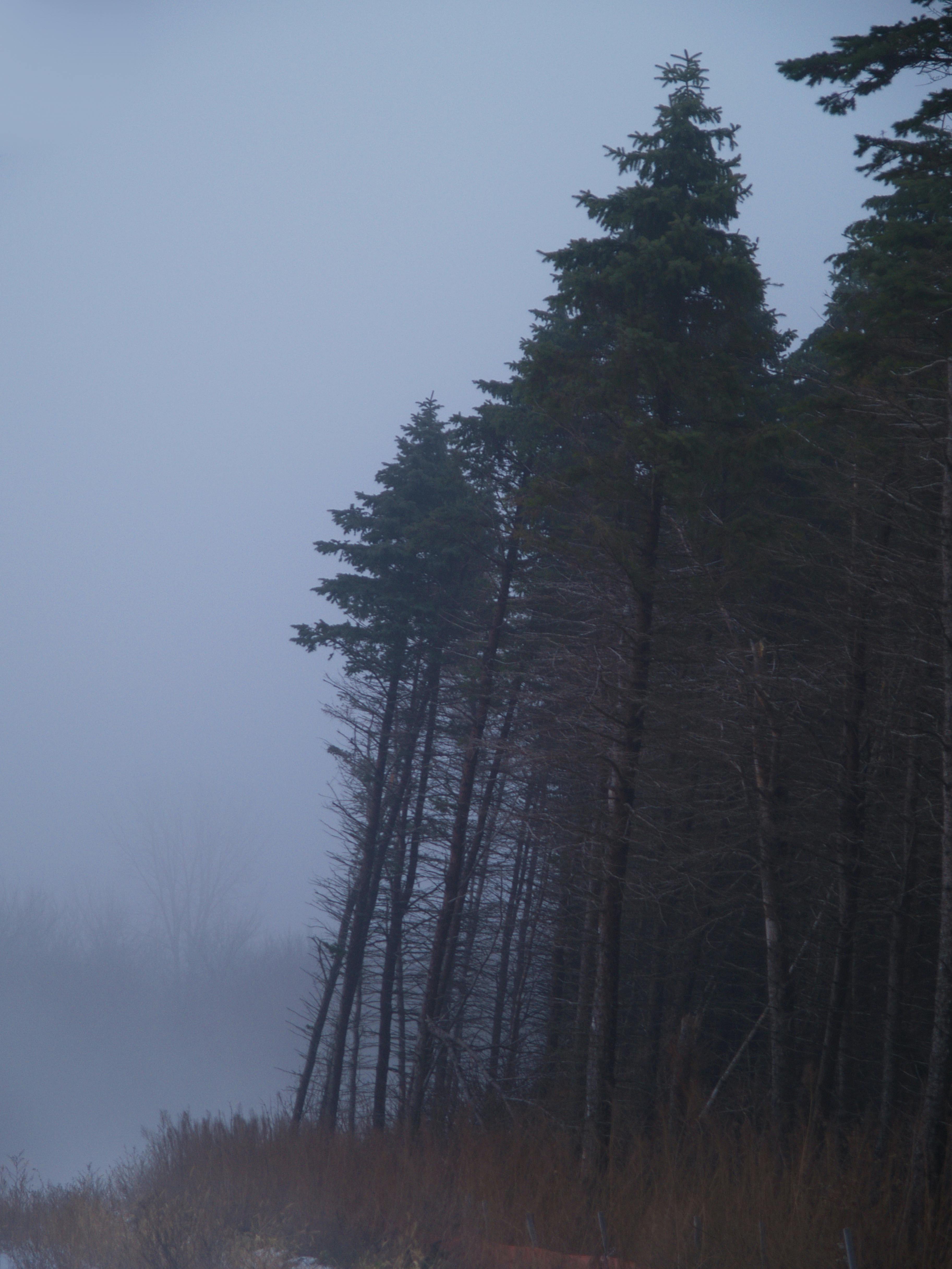 Winter 12 Photos & Videos Collected by Christopher Moon