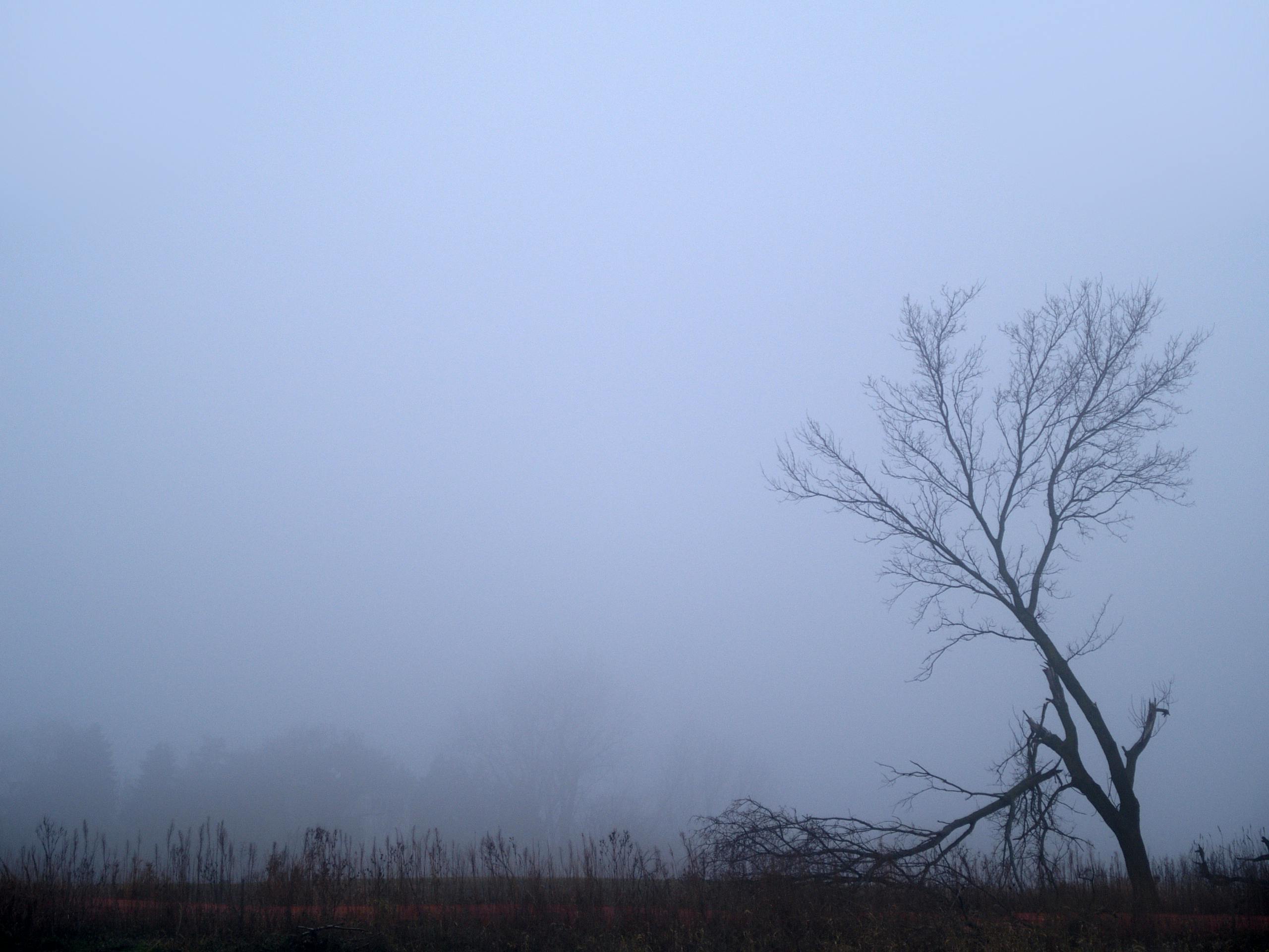 Winter 12 Photos & Videos Collected by Christopher Moon