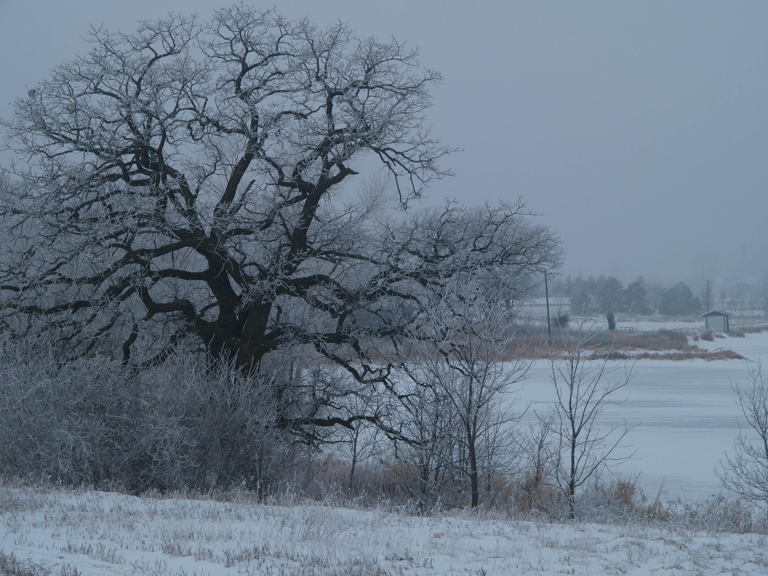 Winter 12 Photos & Videos Collected by Christopher Moon