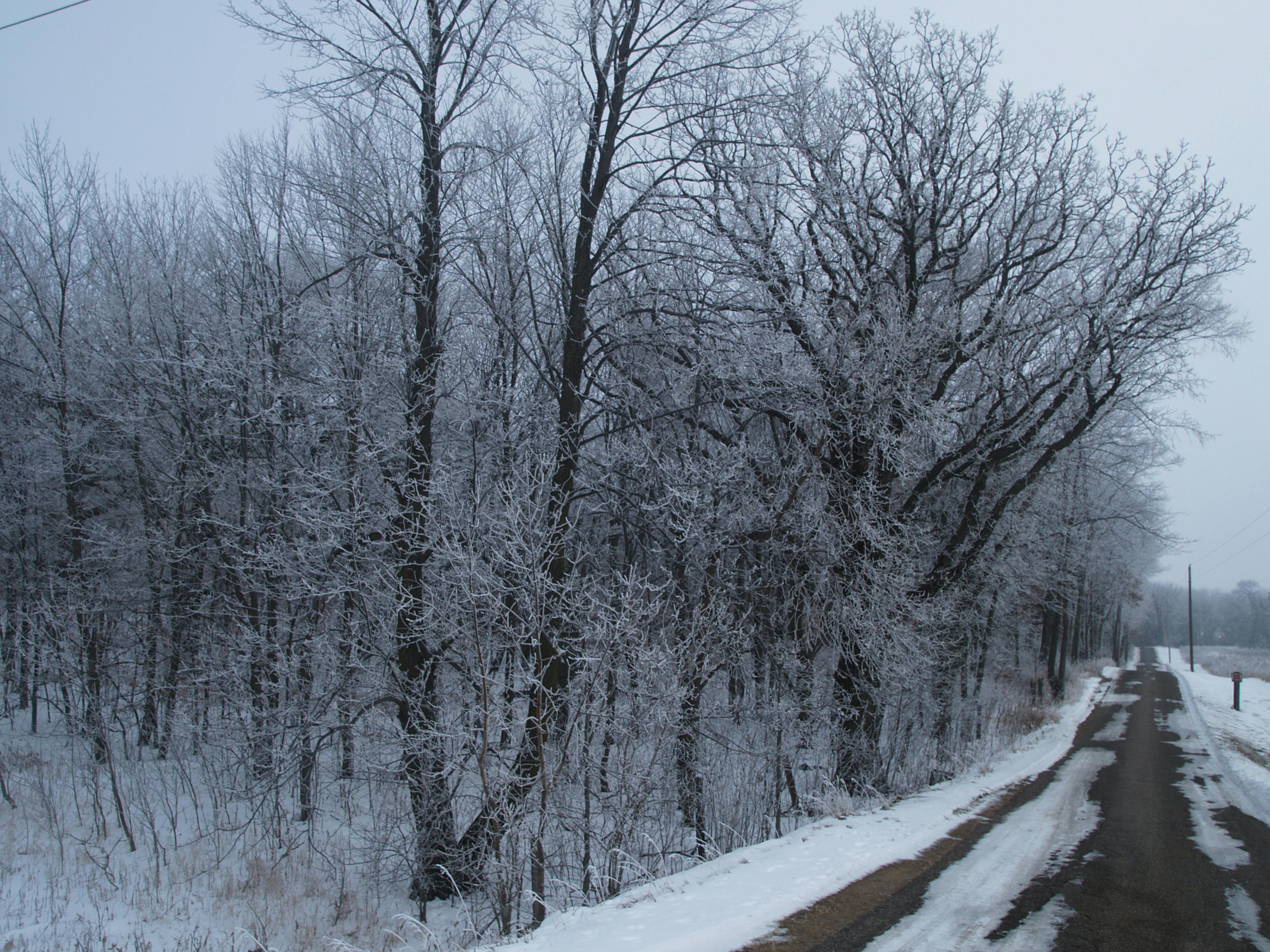 Winter 12 Photos & Videos Collected by Christopher Moon