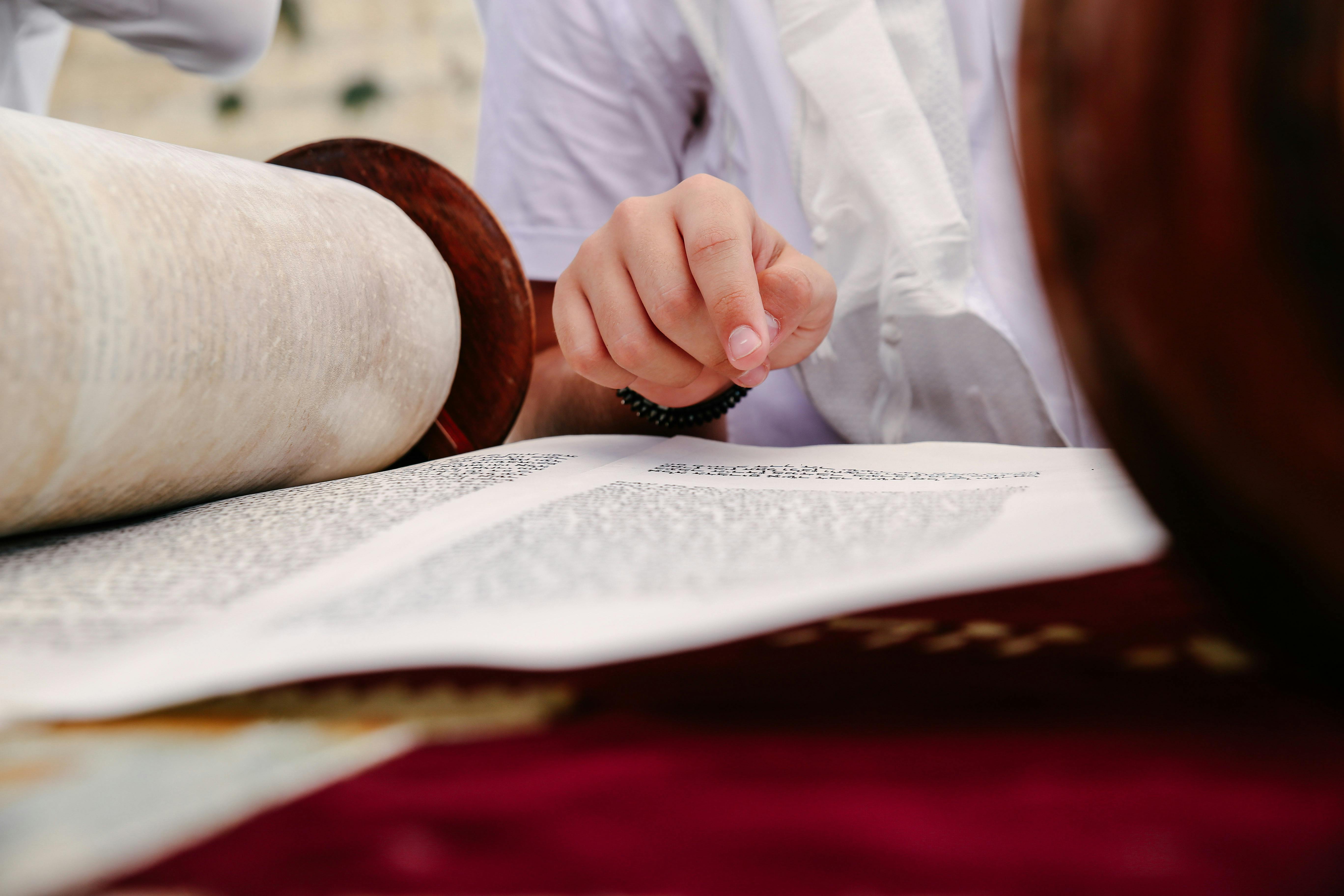 Tora Photos, Download The BEST Free Tora Stock Photos & HD Images