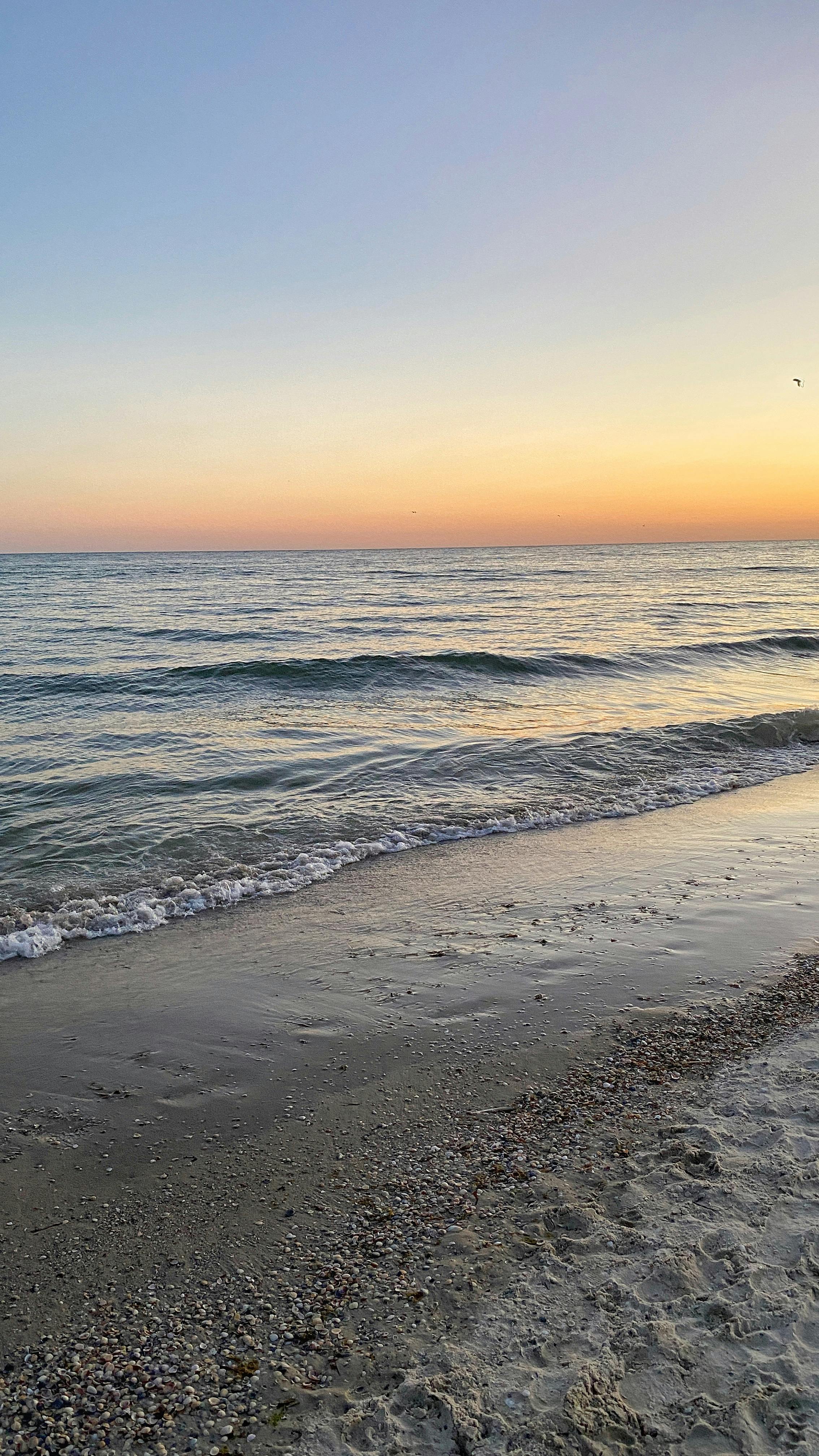 YULIIA KOLIADA - Photography