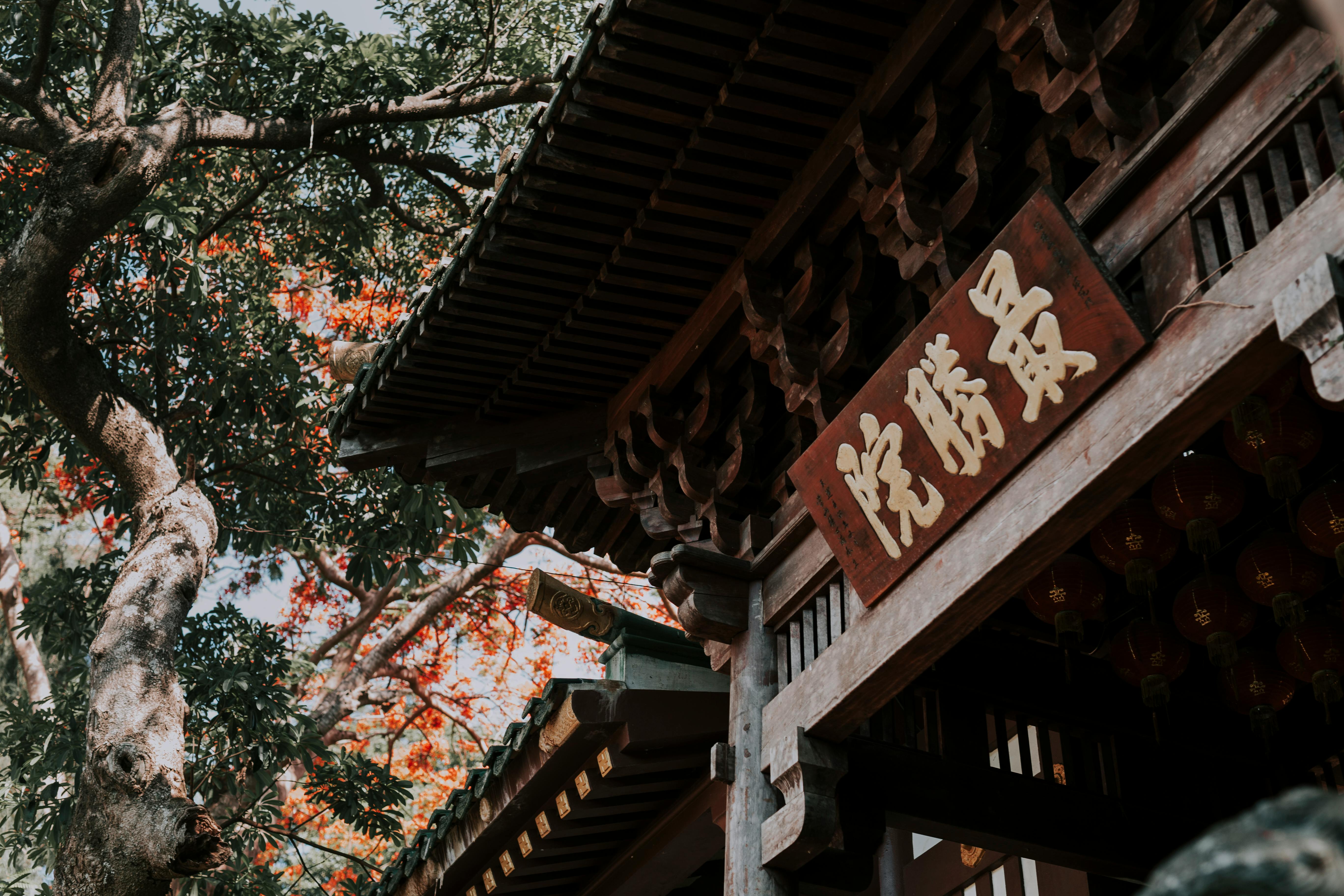 Wooden Ceiling of a Temple in Asian Architectural Design · Free Stock Photo
