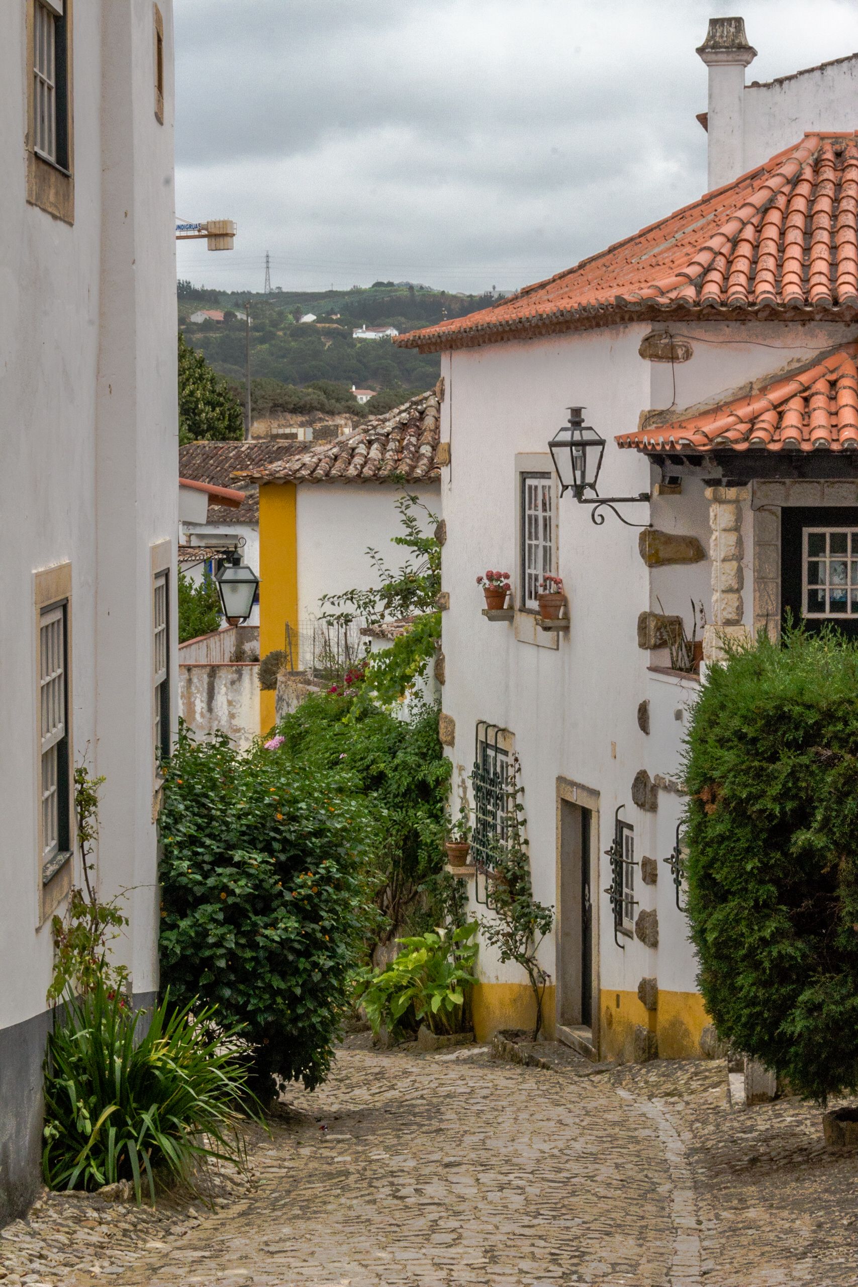 Down Slope Street Between Houses · Free Stock Photo