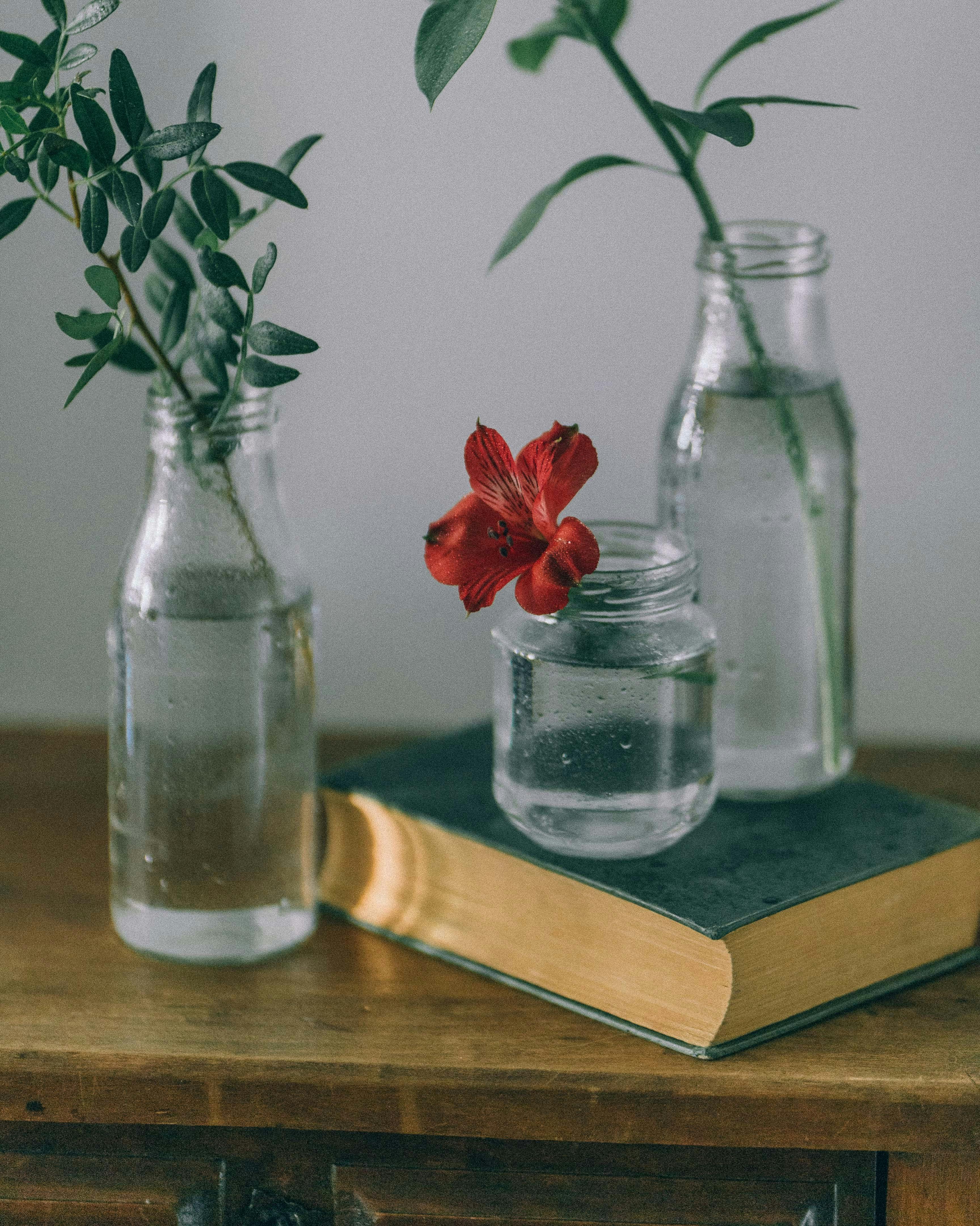 50,000+ Best Glass Jar Photos · 100% Free Download · Pexels Stock Photos