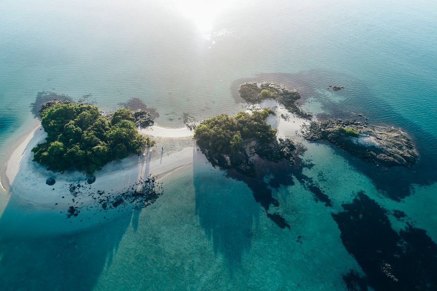 Exploring Snake Island Brazil Snakes: Dangers and Wonders