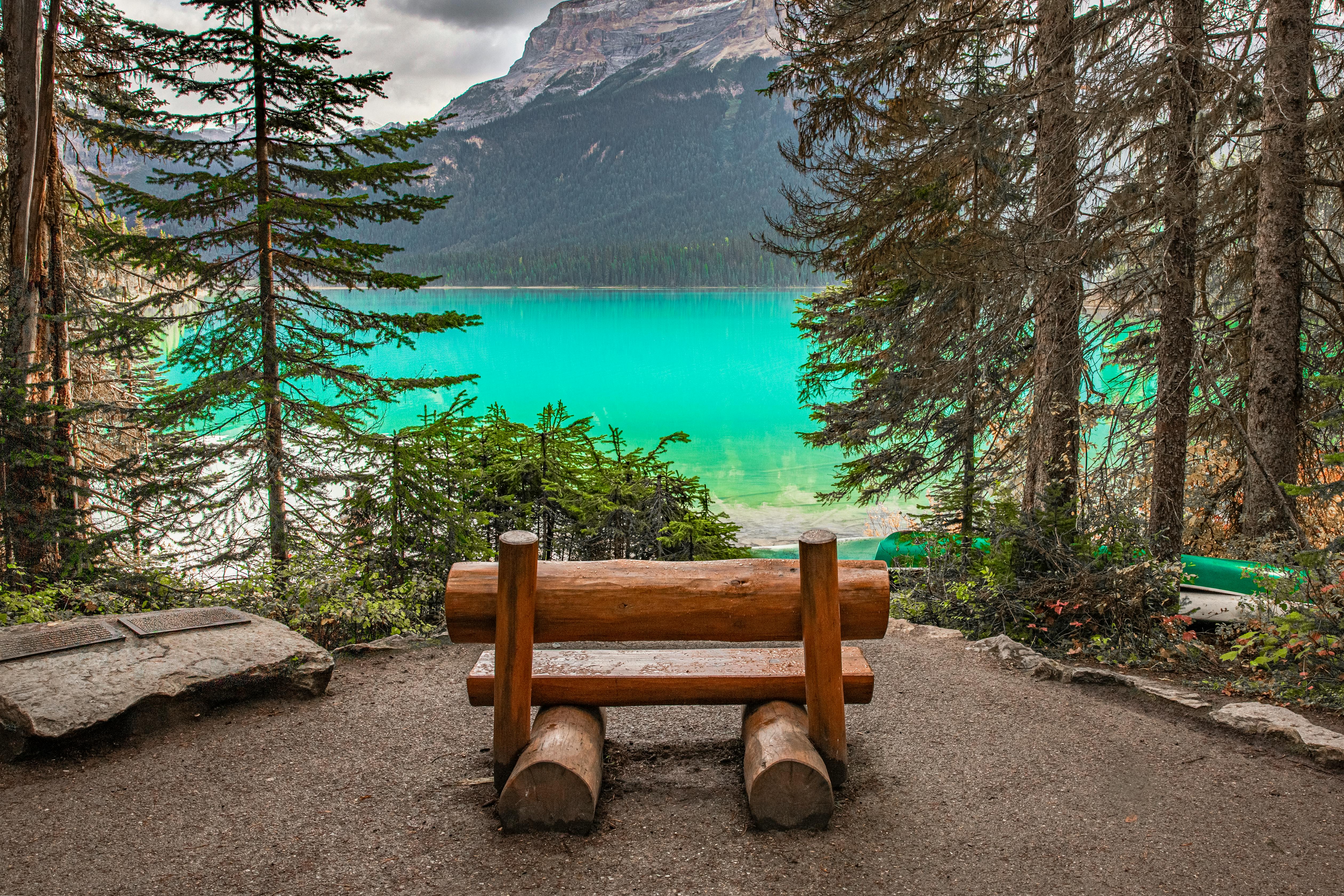 Brown Wooden Bench Near Lake · Free Stock Photo