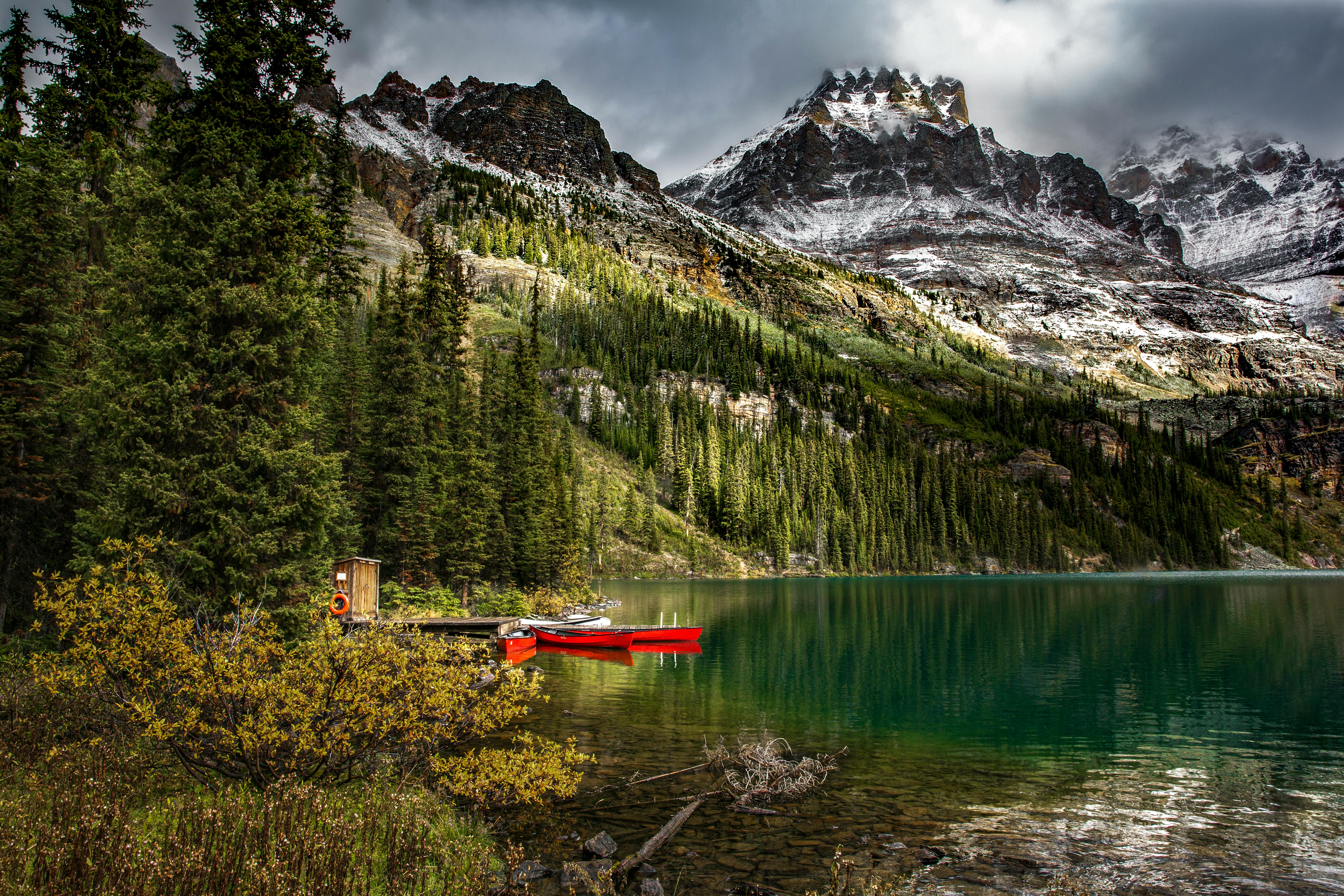Mountains and Forest around Lake · Free Stock Photo