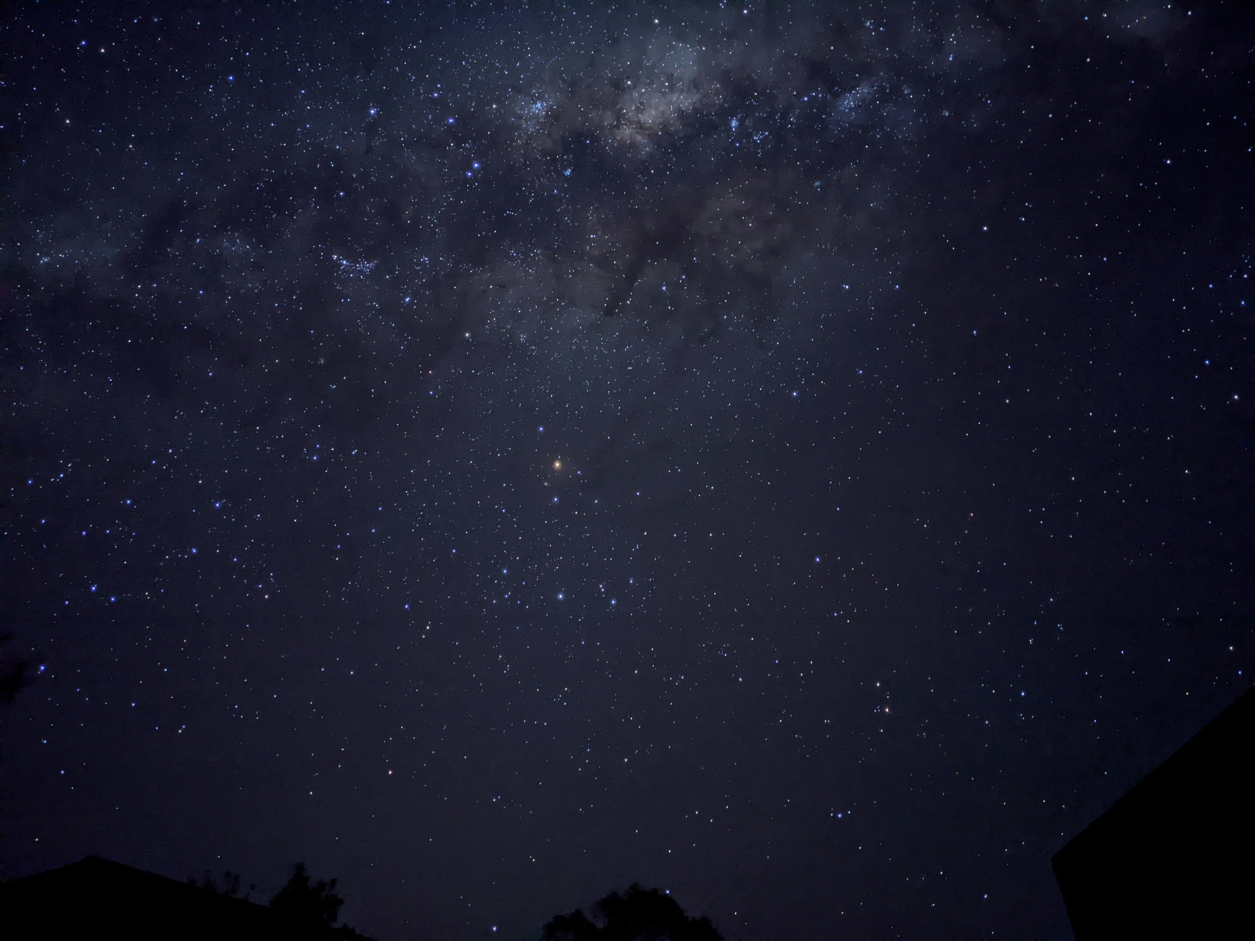 Best Unedited Photos · 100% Free Download · Pexels Stock Photos