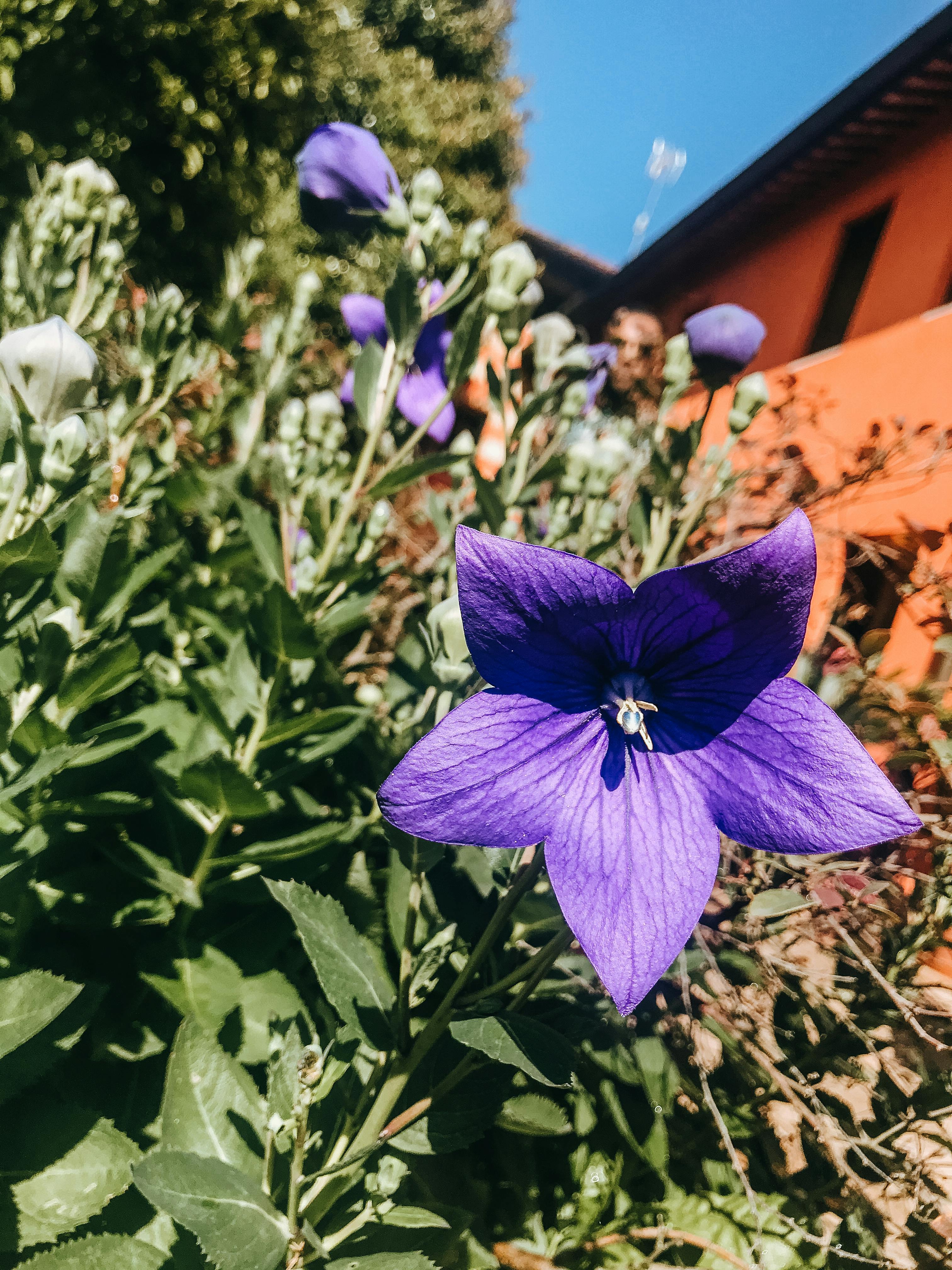 Shainee Fernando - Photography