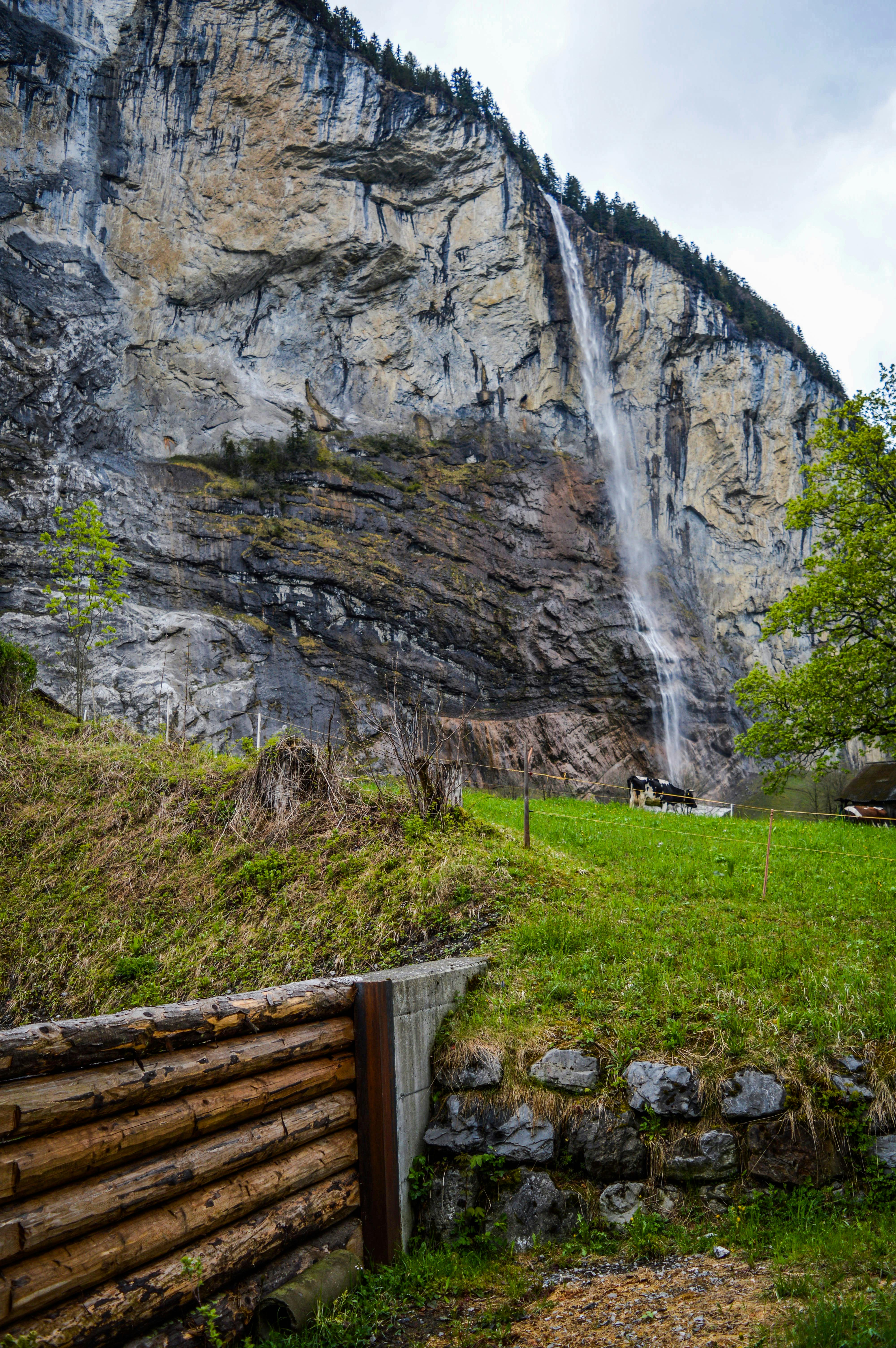 Rocky ravine with waterfall near grassy terrain · Free Stock Photo