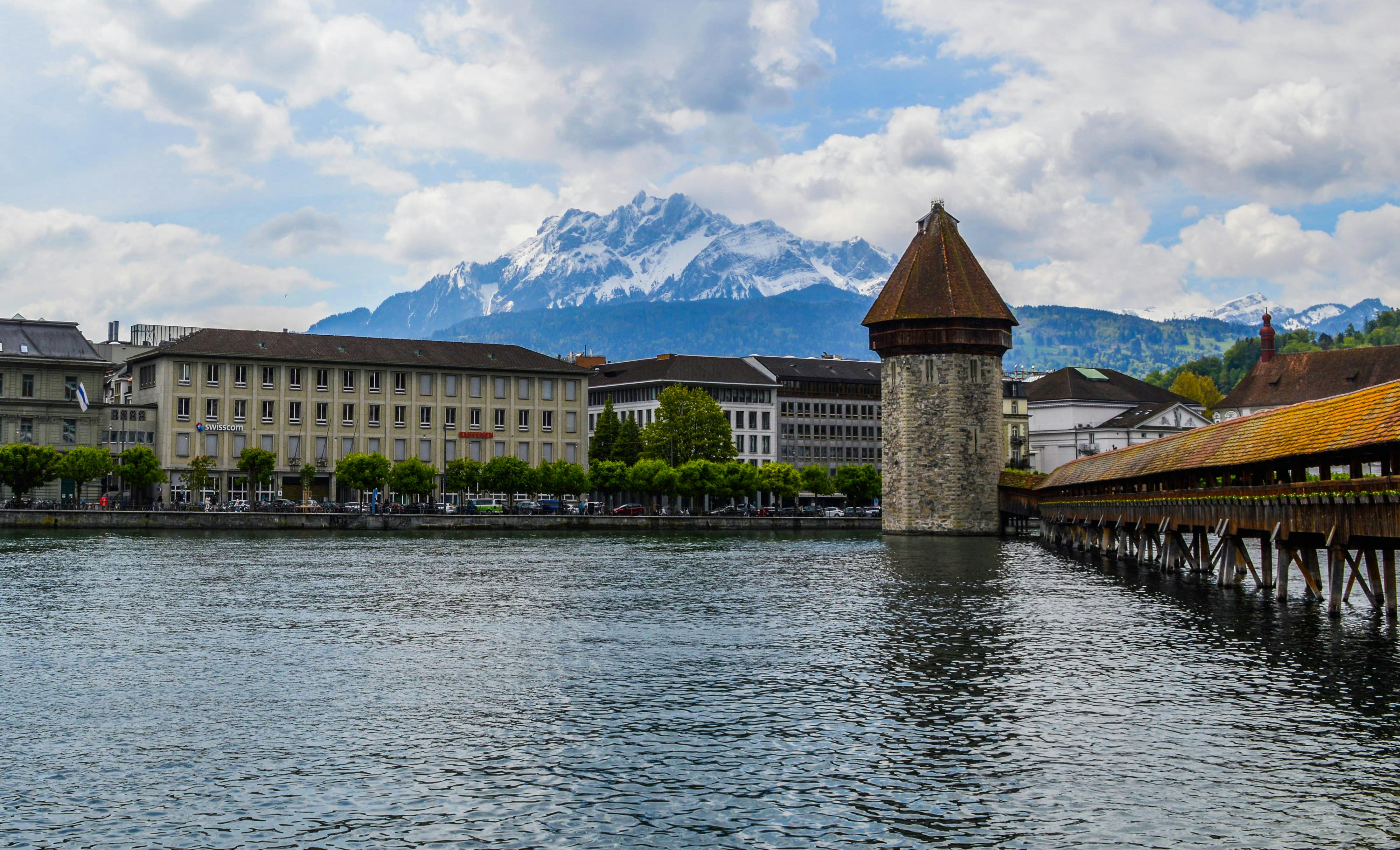 Lucerne Photos, Download The BEST Free Lucerne Stock Photos & HD Images