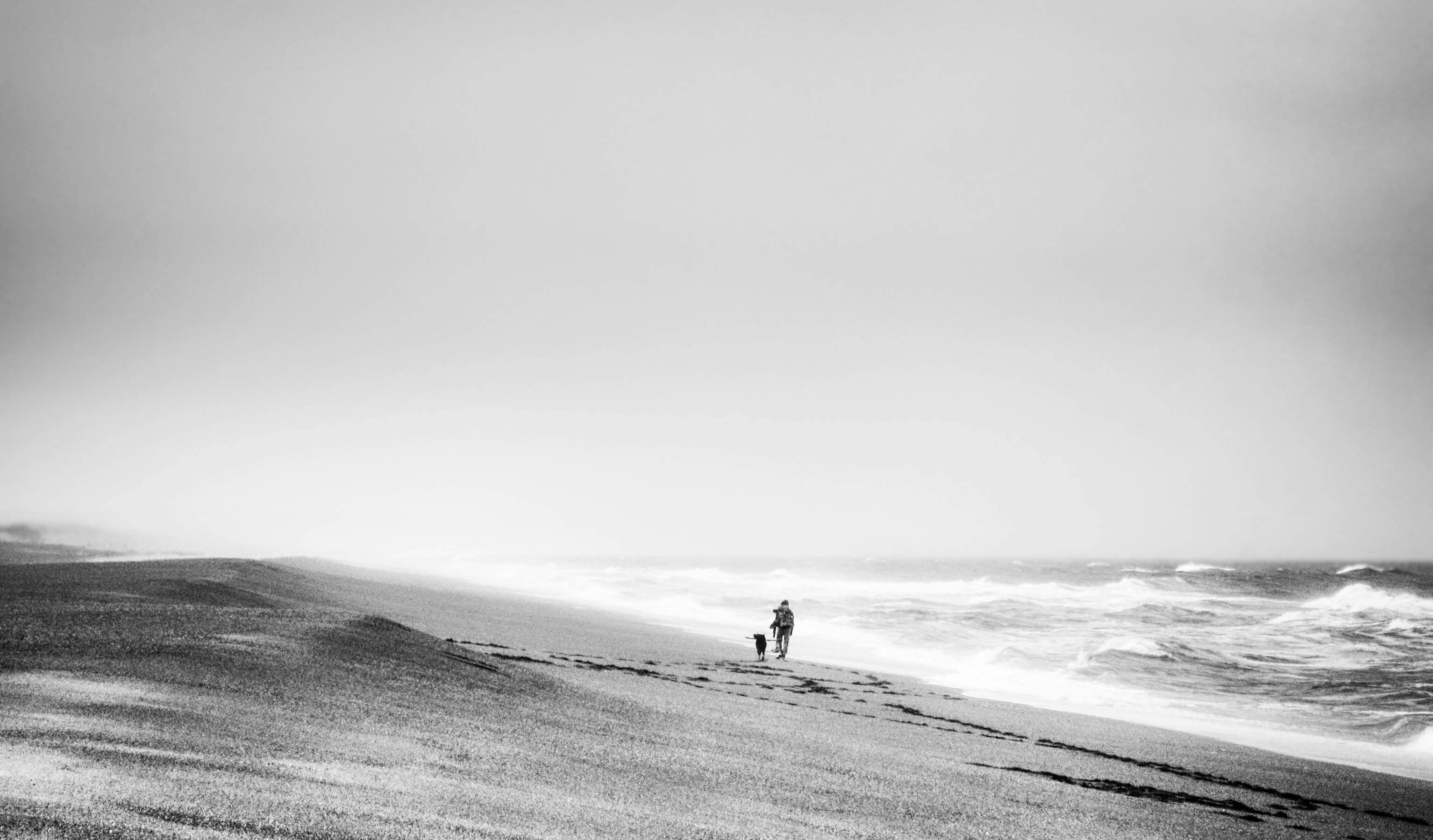 Grayscale Photo of Person Walking on Beach · Free Stock Photo