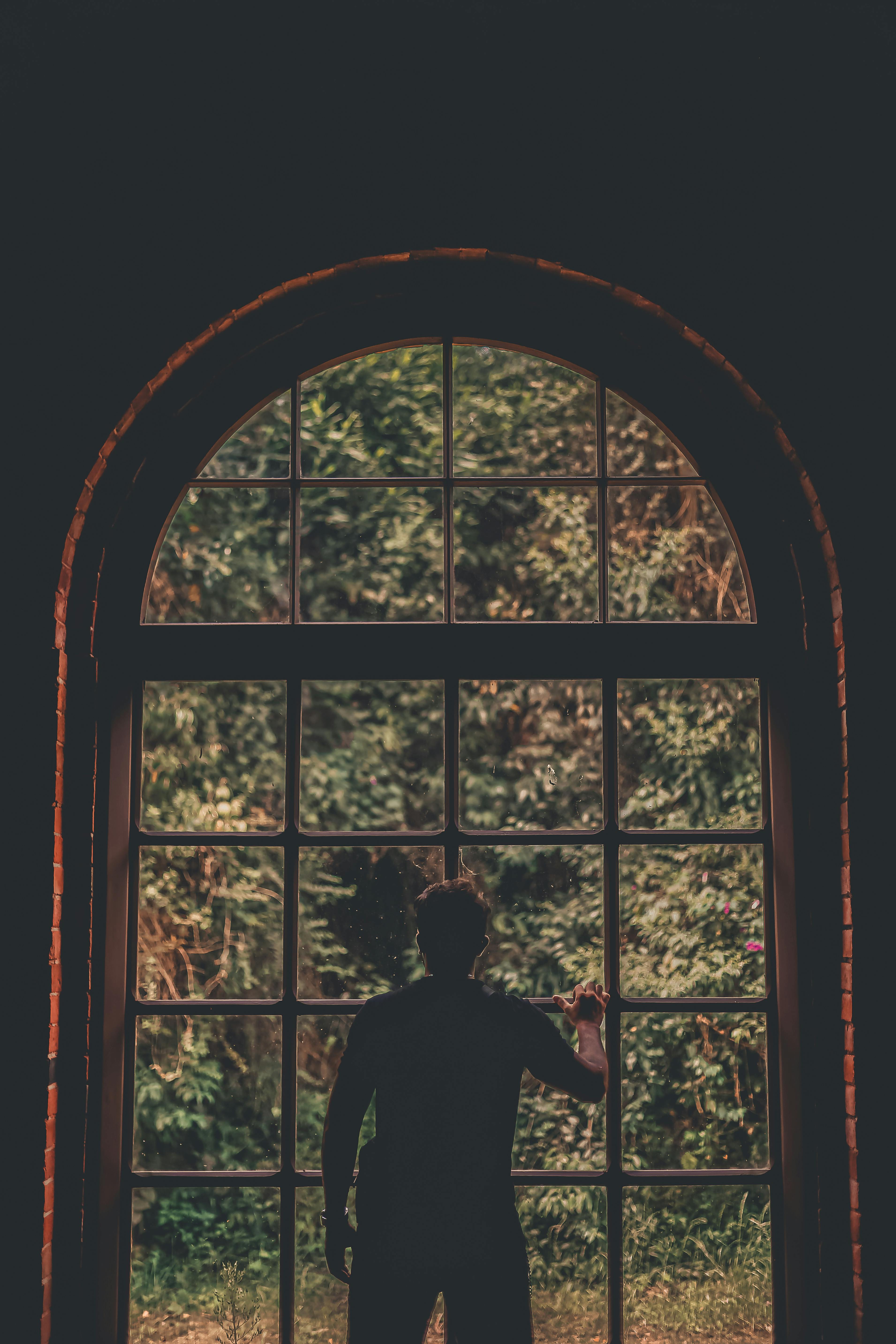 Back View of a Person Looking Out of the Window · Free Stock Photo