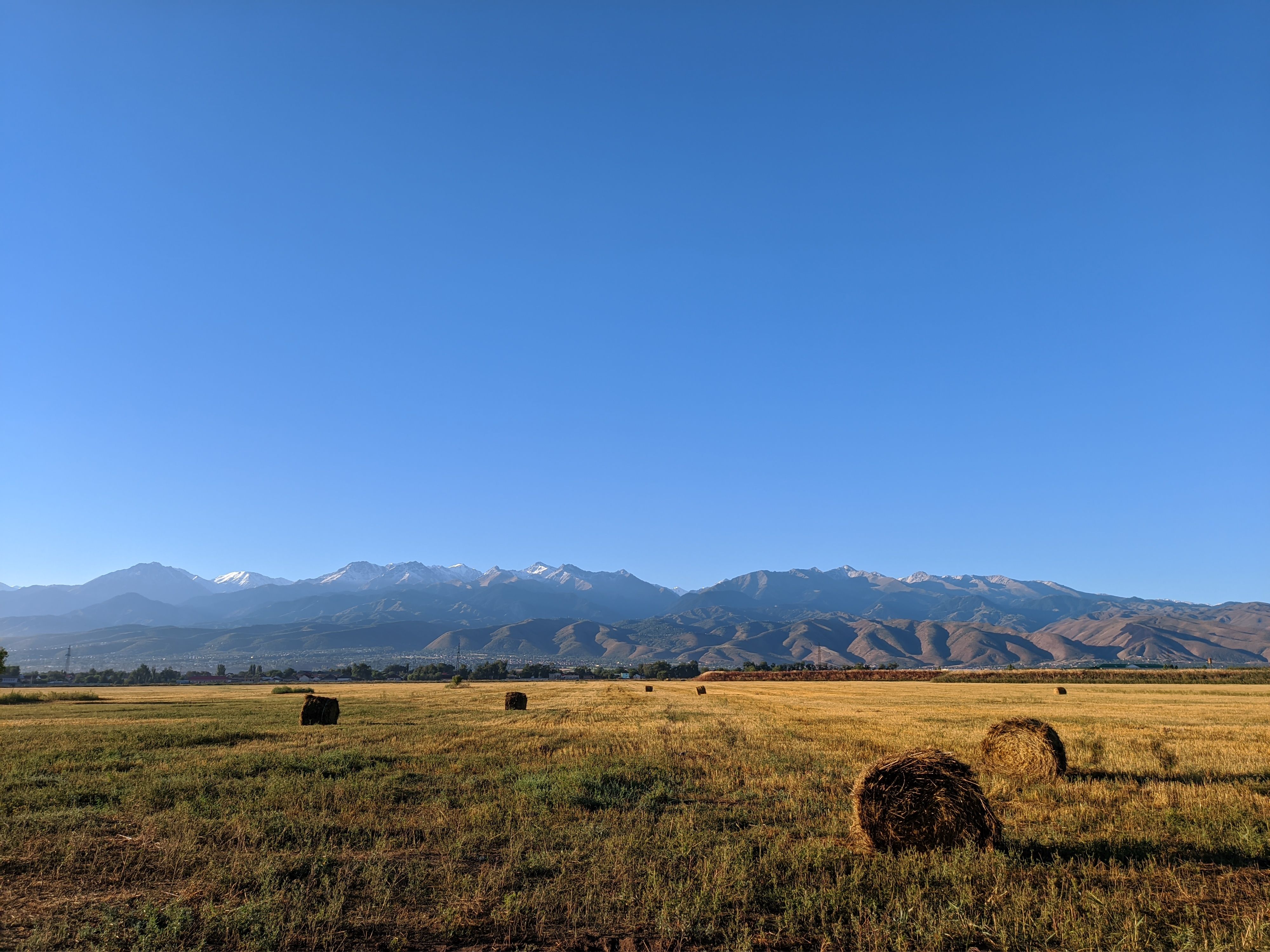 Smiling Man Sitting on Hay Bale in Field · Free Stock Photo