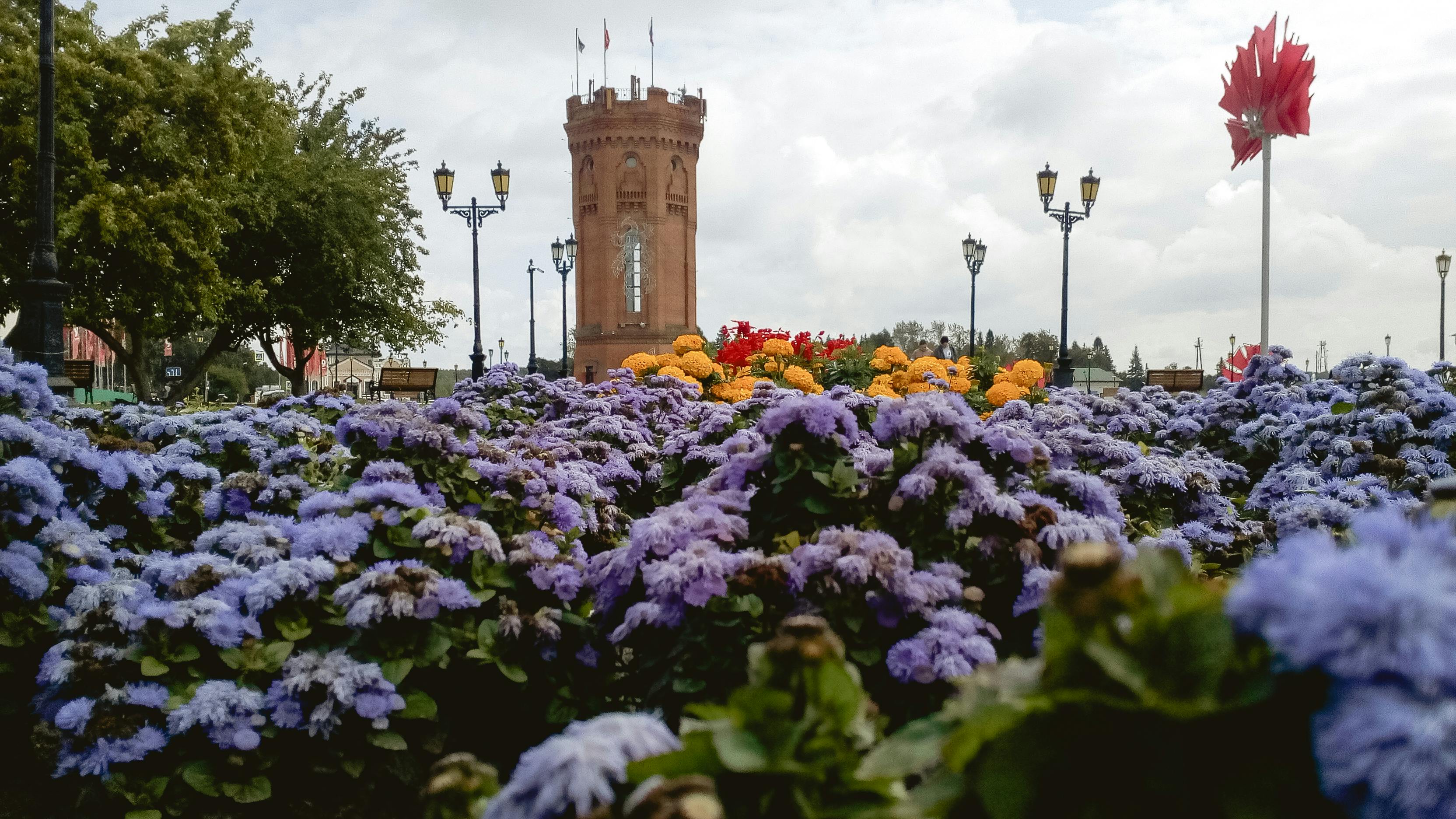 Dŵr Cymru Welsh Water: Everything You Need to Know