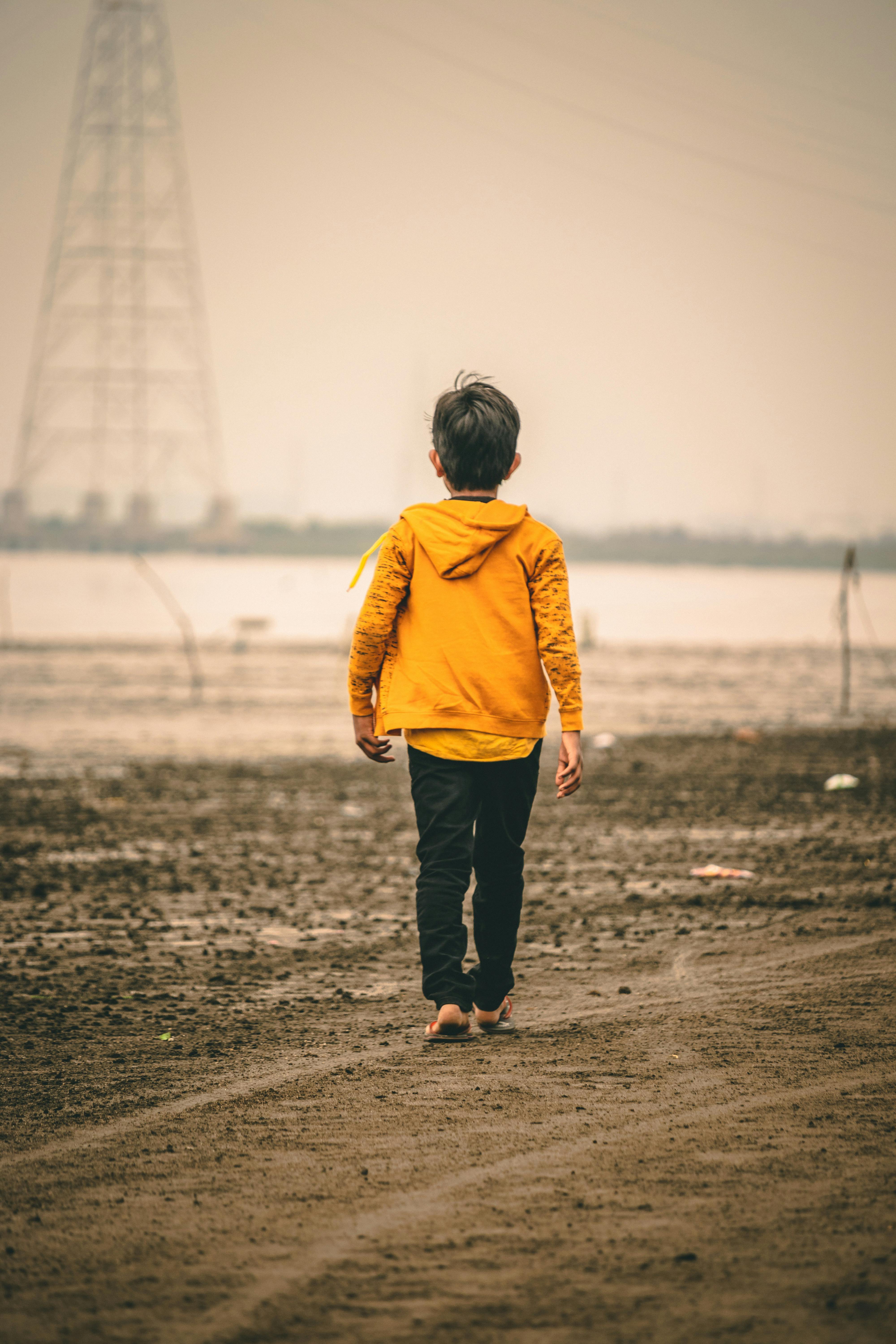 A Boy Walking on a Log in the Woods · Free Stock Photo