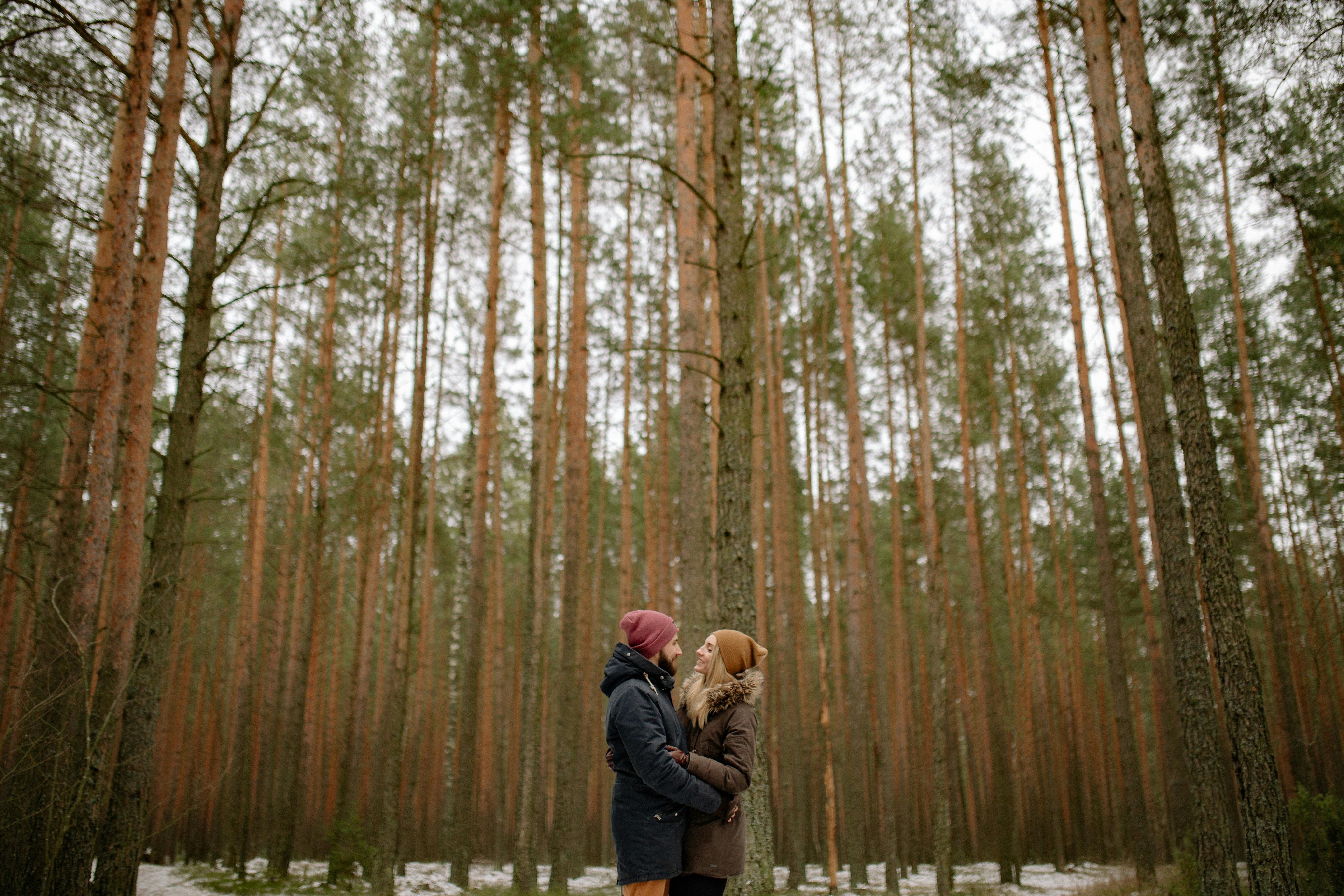 A Couple Standing Face to Face in the Forest · Free Stock Photo