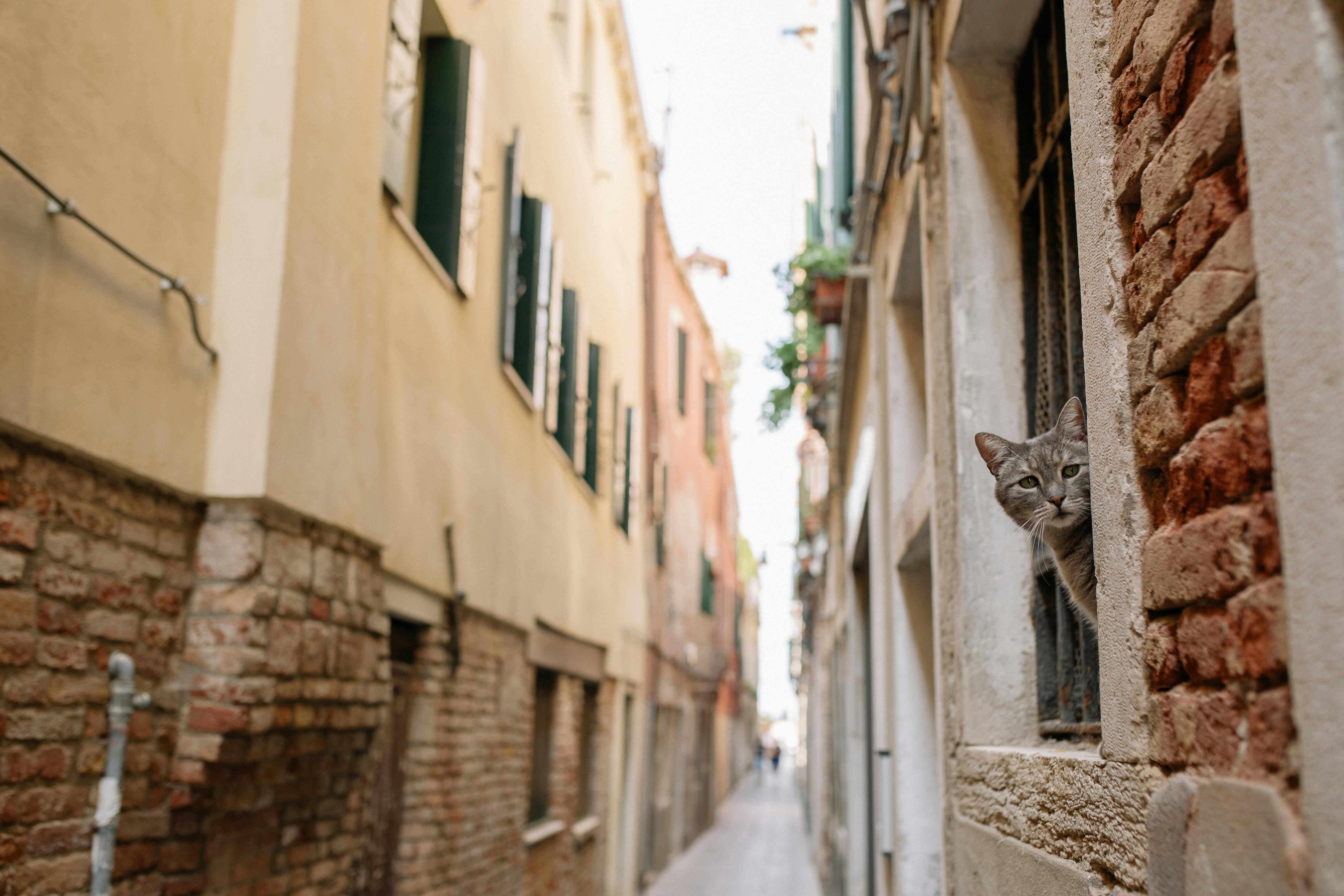 Alleyway · Free Stock Photo