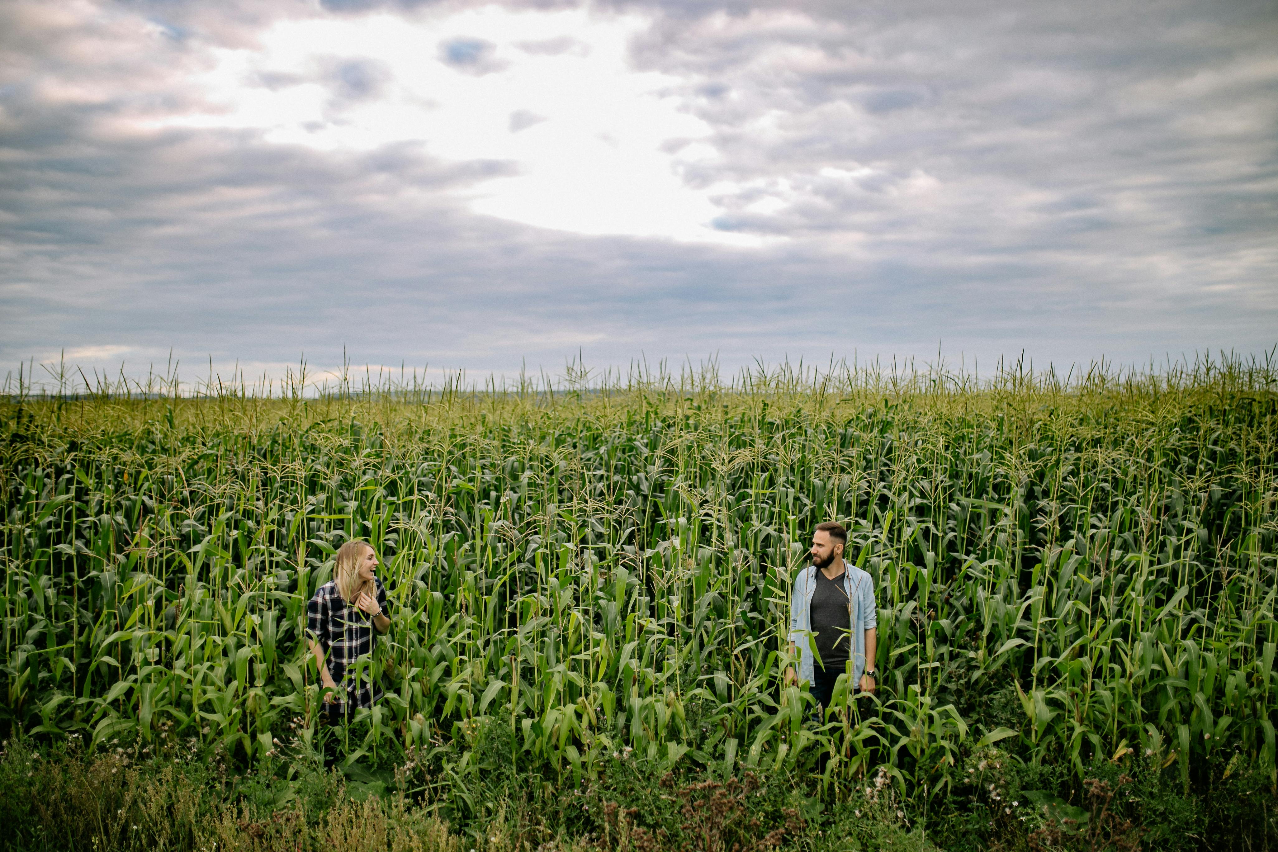 Smiling Man and Woman Standing in Corn Field · Free Stock Photo