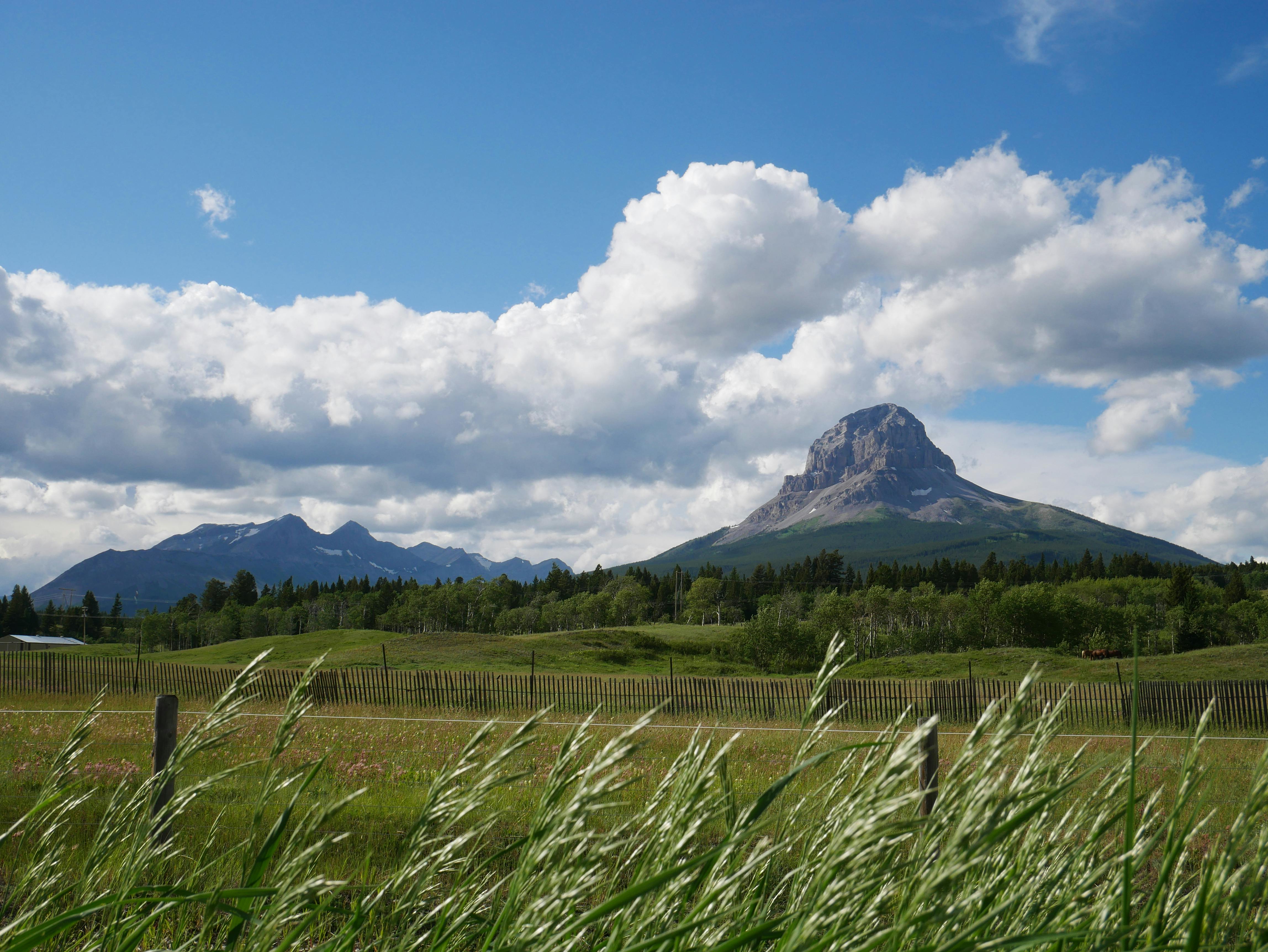 Inlet · Free Stock Photo