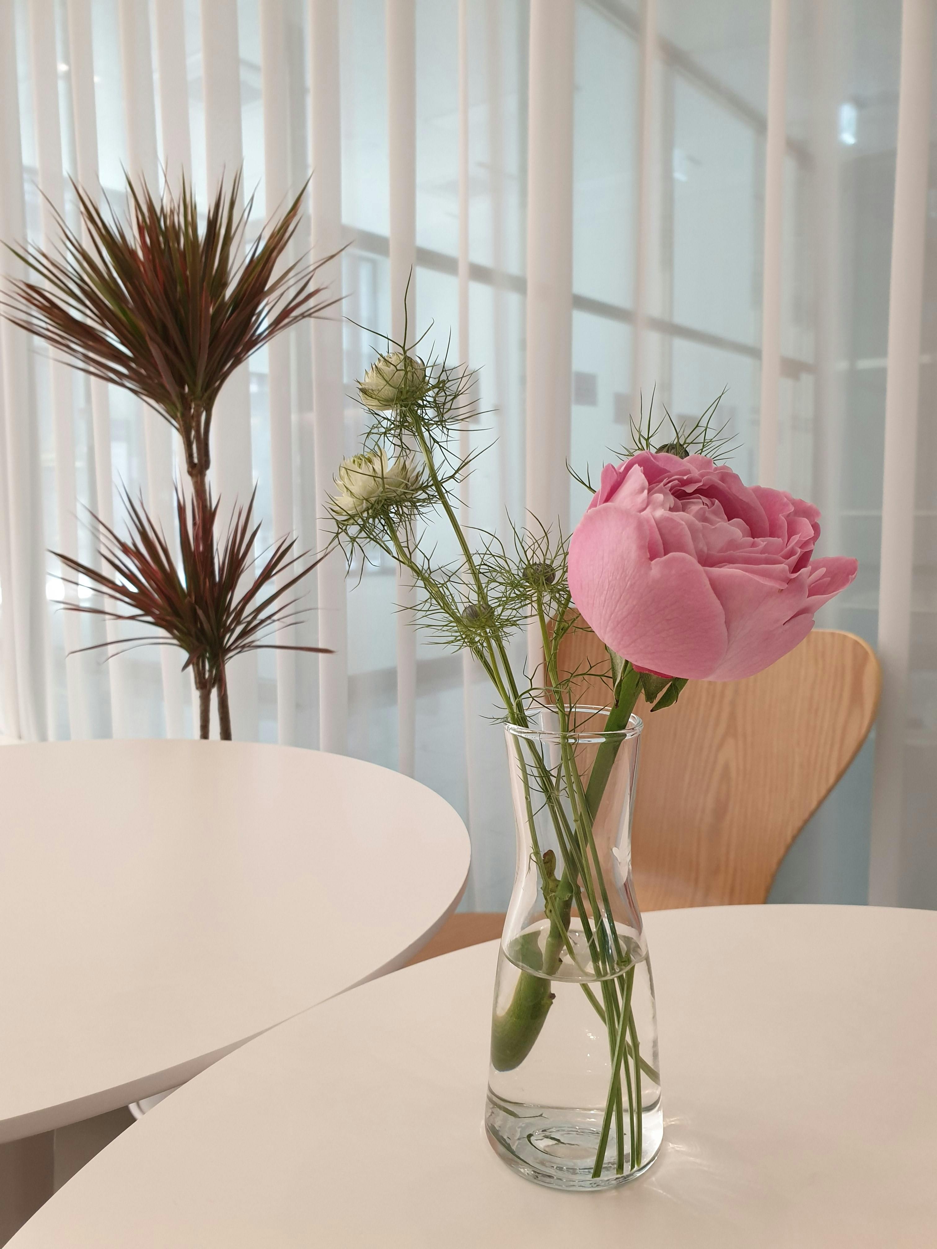 White Roses in Glass Vase on the Wooden Table · Free Stock Photo