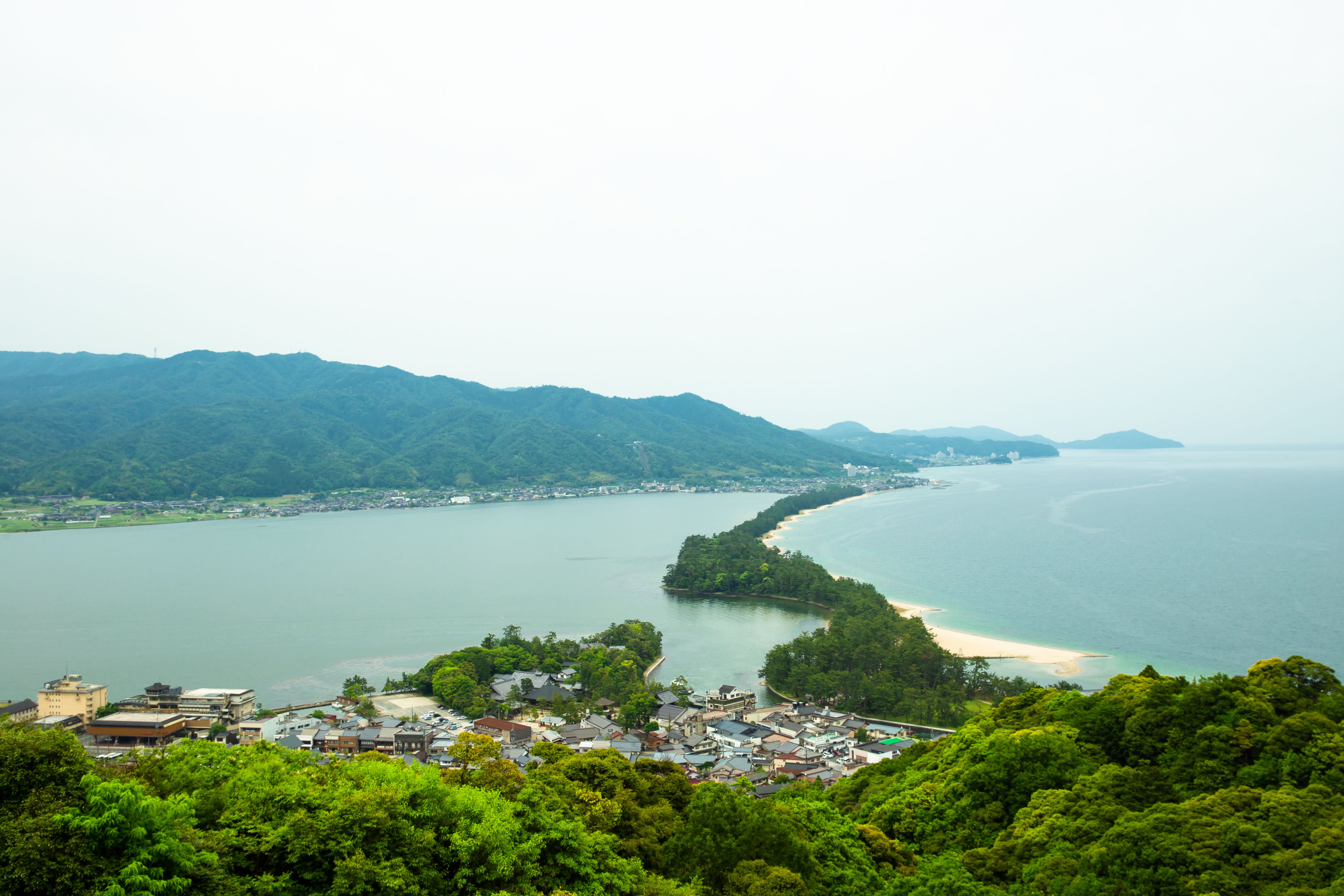 Japan Forest Photos, Download The BEST Free Japan Forest Stock Photos ...
