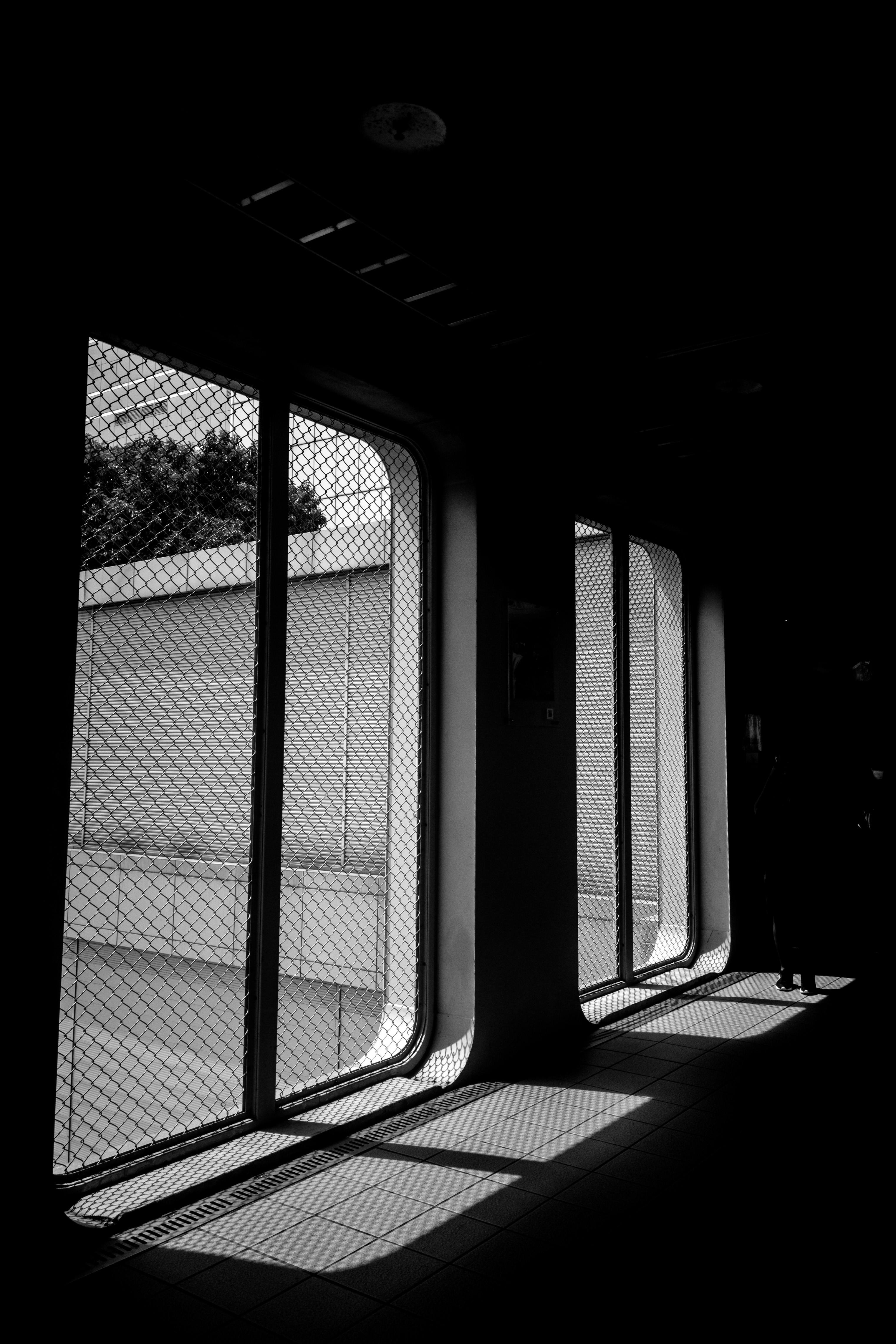 Windows and Shadow in Interior in Black and White · Free Stock Photo