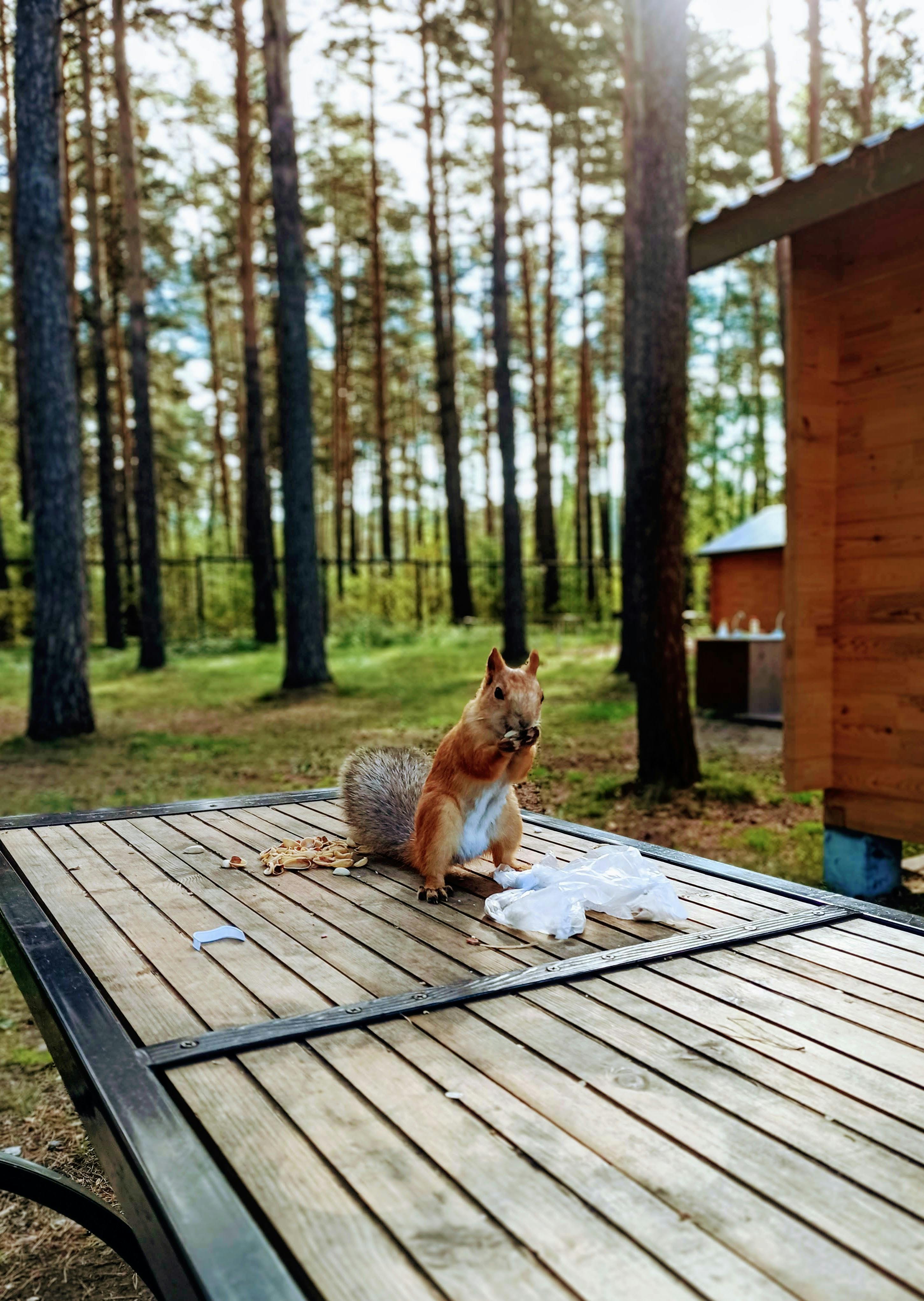 Anime Hut Photos, Download The BEST Free Anime Hut Stock Photos & HD Images