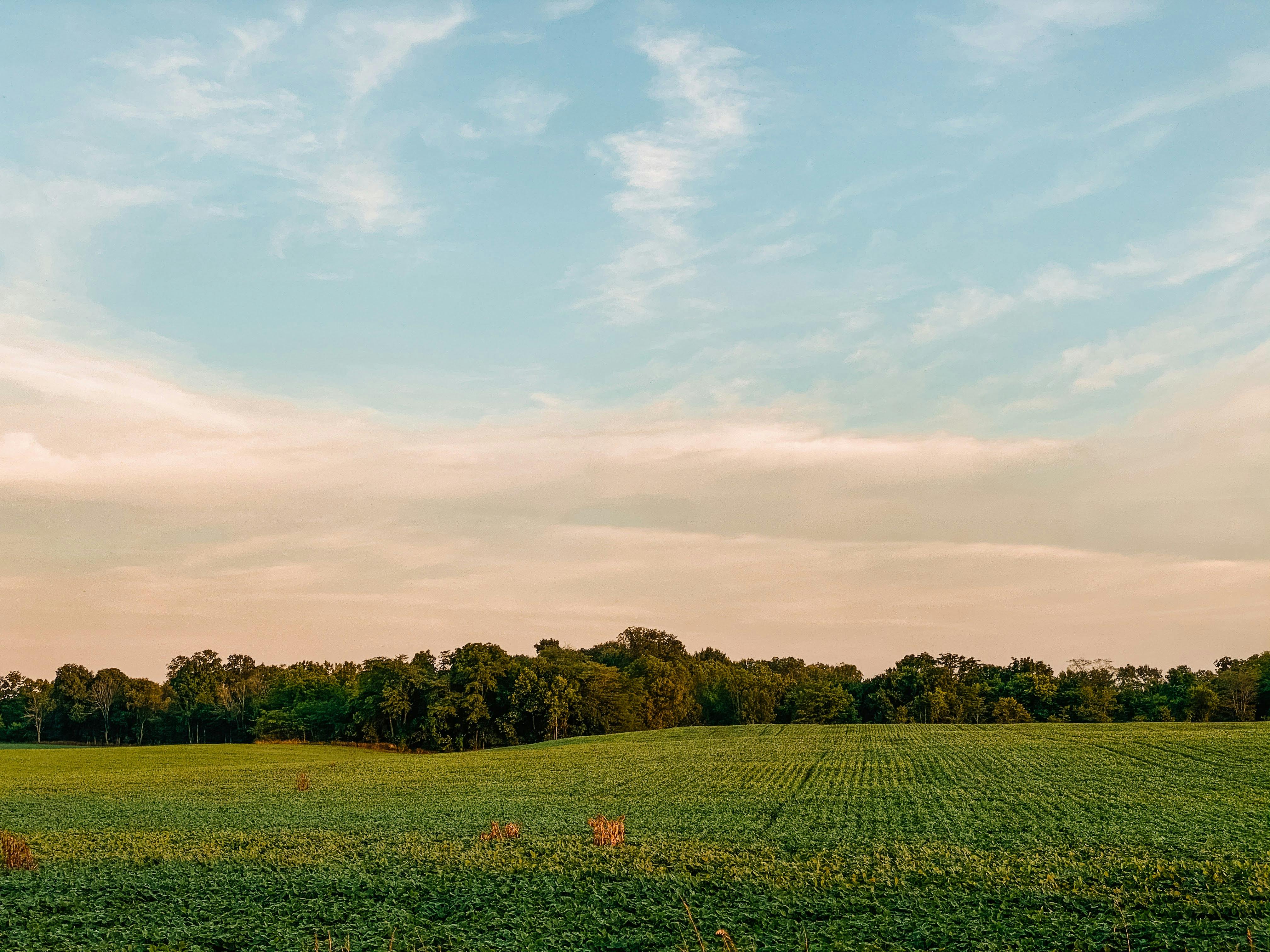 Green Grass Field Under Cloudy Sky · Free Stock Photo