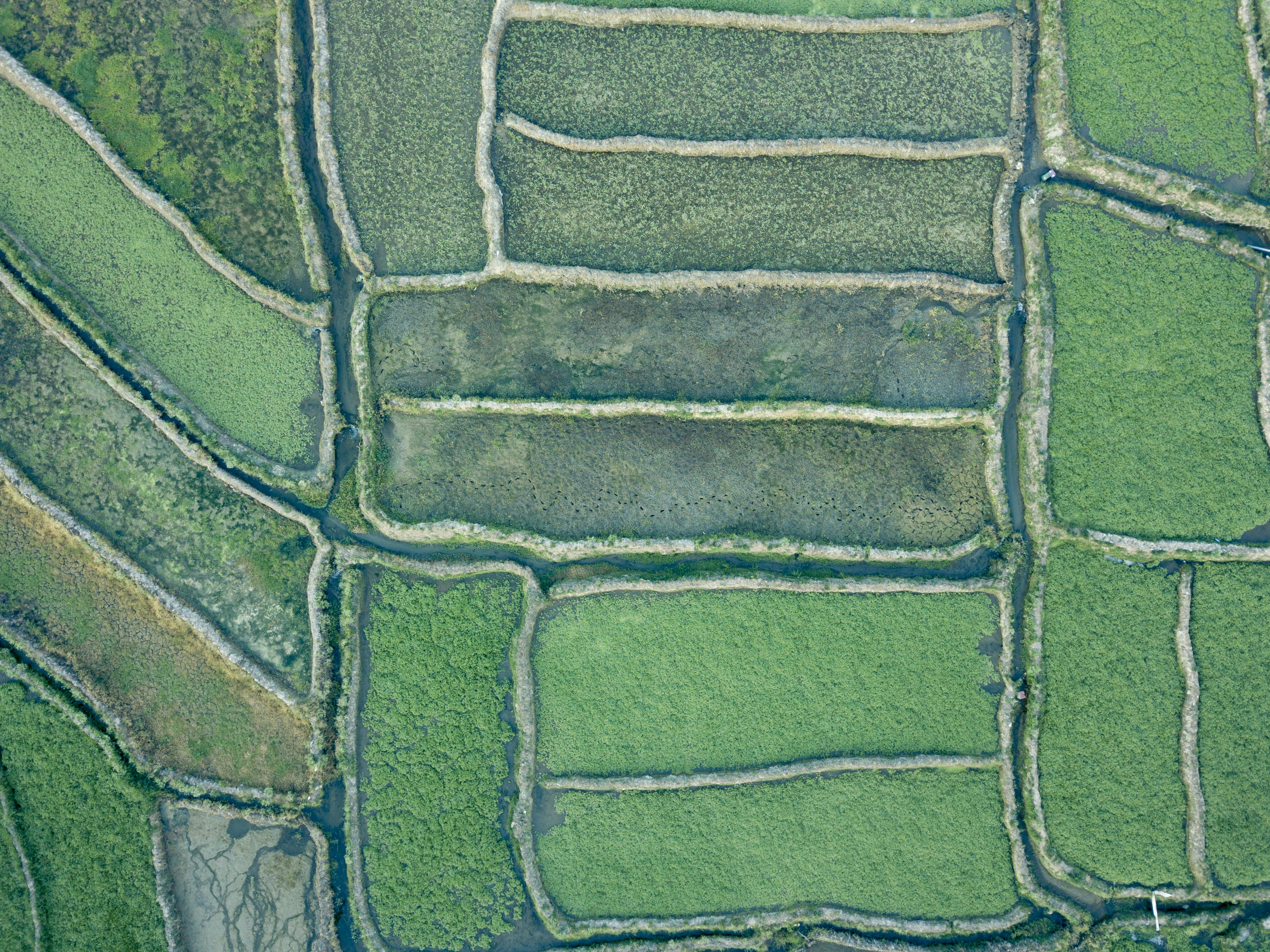 Aerial View with Fields Pattern · Free Stock Photo
