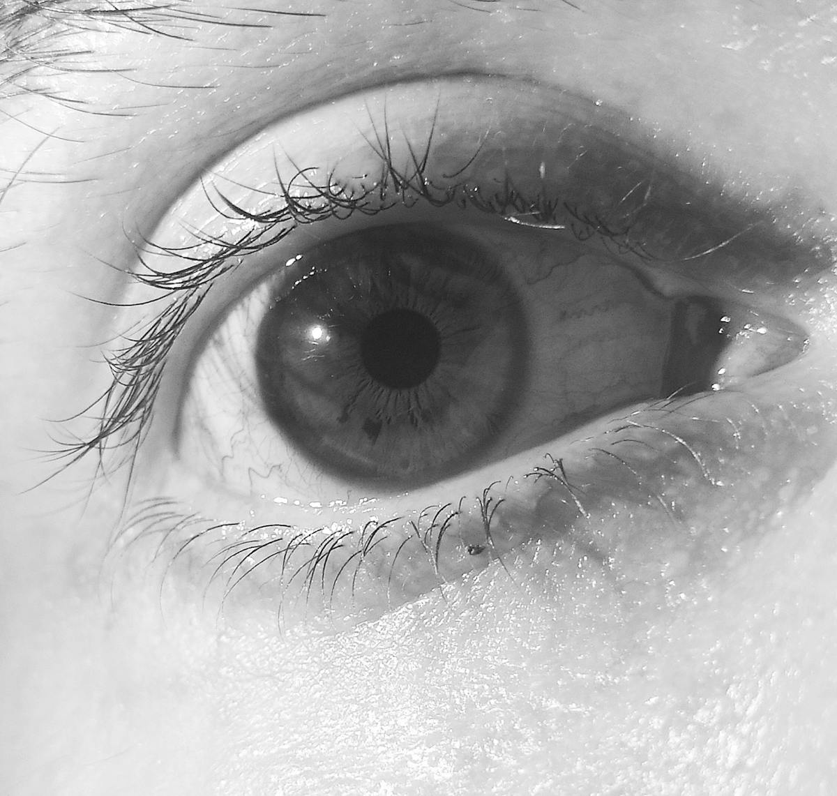 How to Build a Lasagna Garden Bed: Complete No-Dig Guide