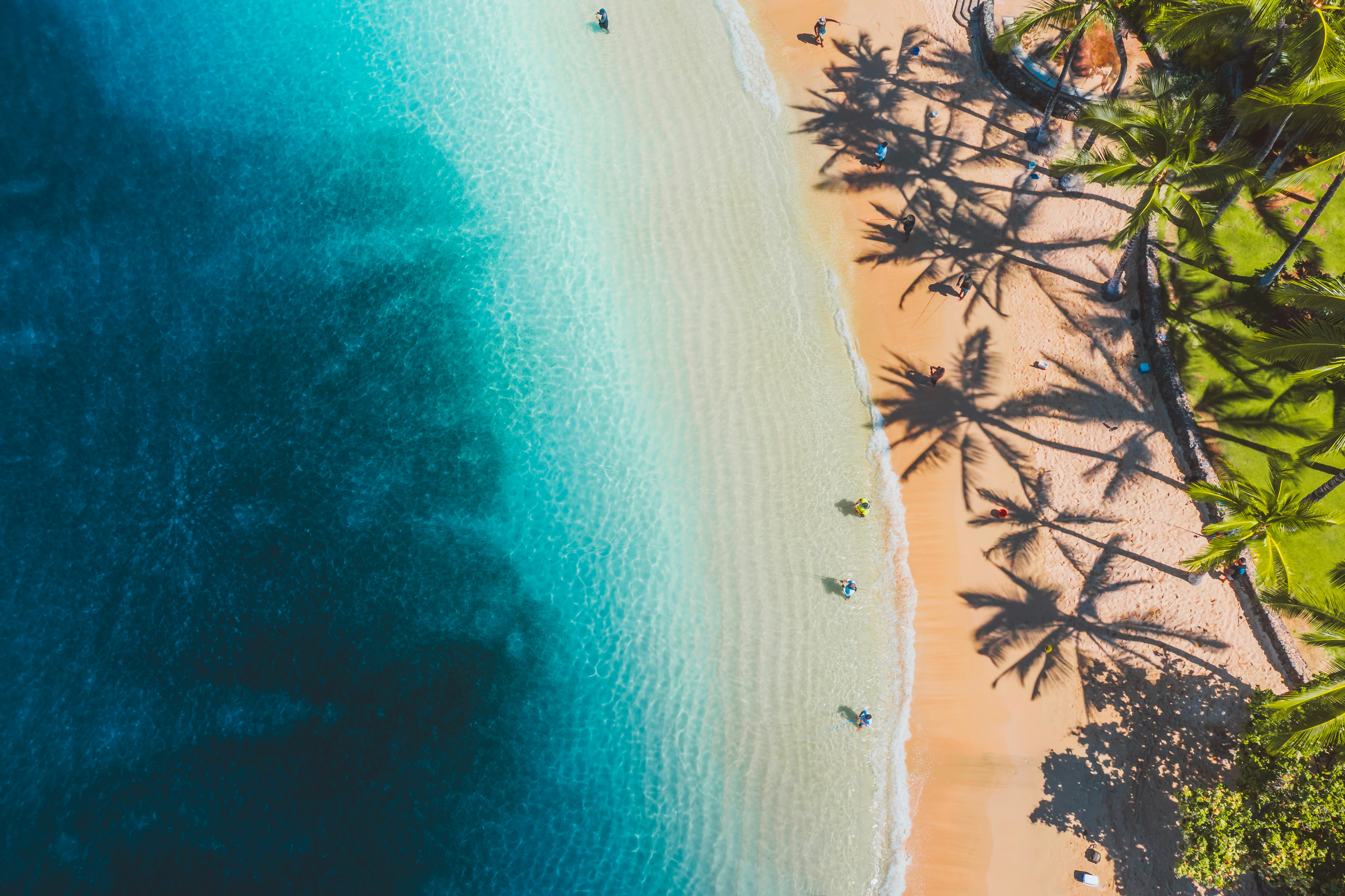 Aerial View of a Beach · Free Stock Photo
