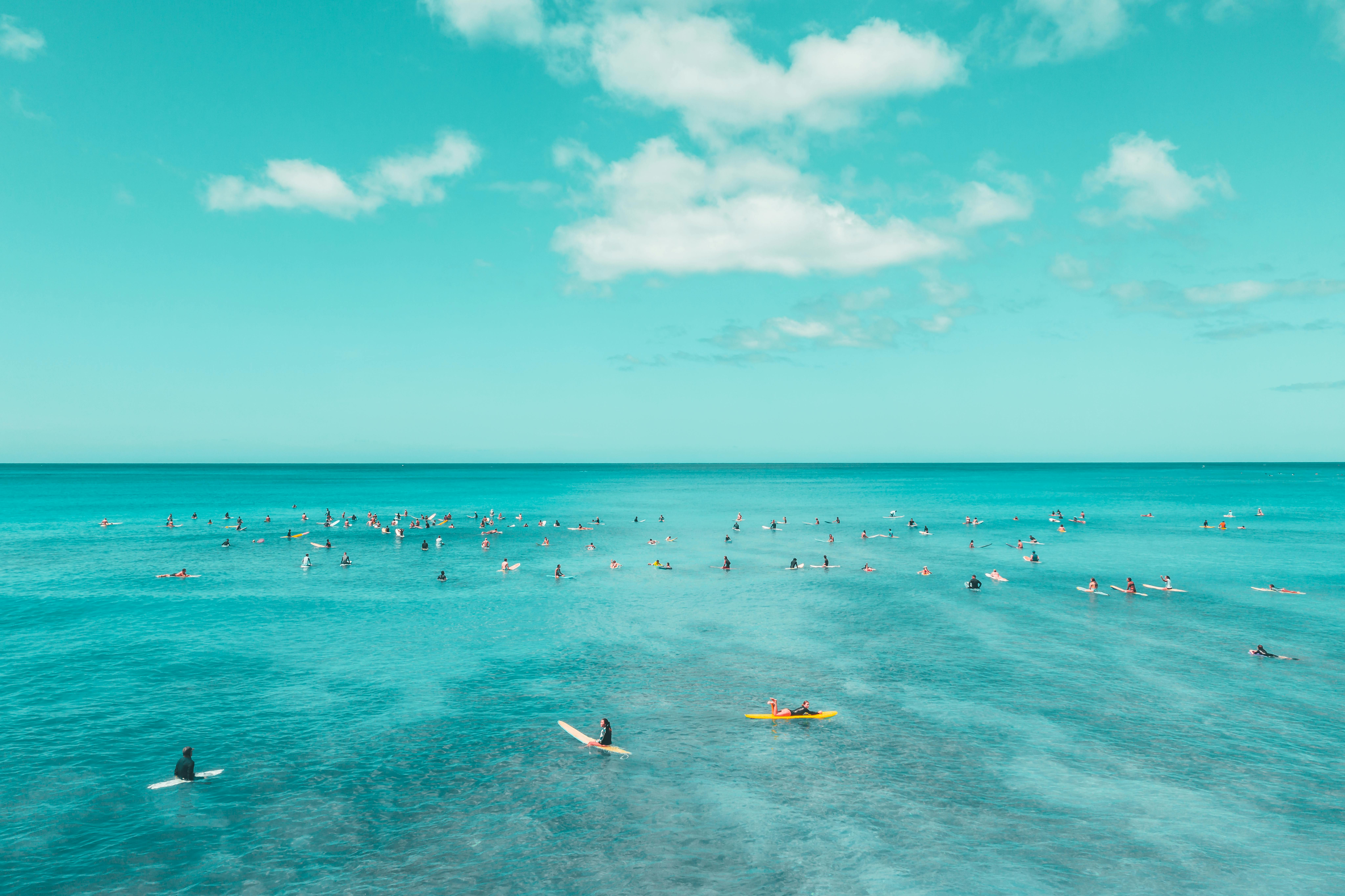 A People Using Surfboards on the Sea · Free Stock Photo