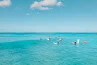 More 50 Clearly defined Synonyms. Similar words for Clearly defined.