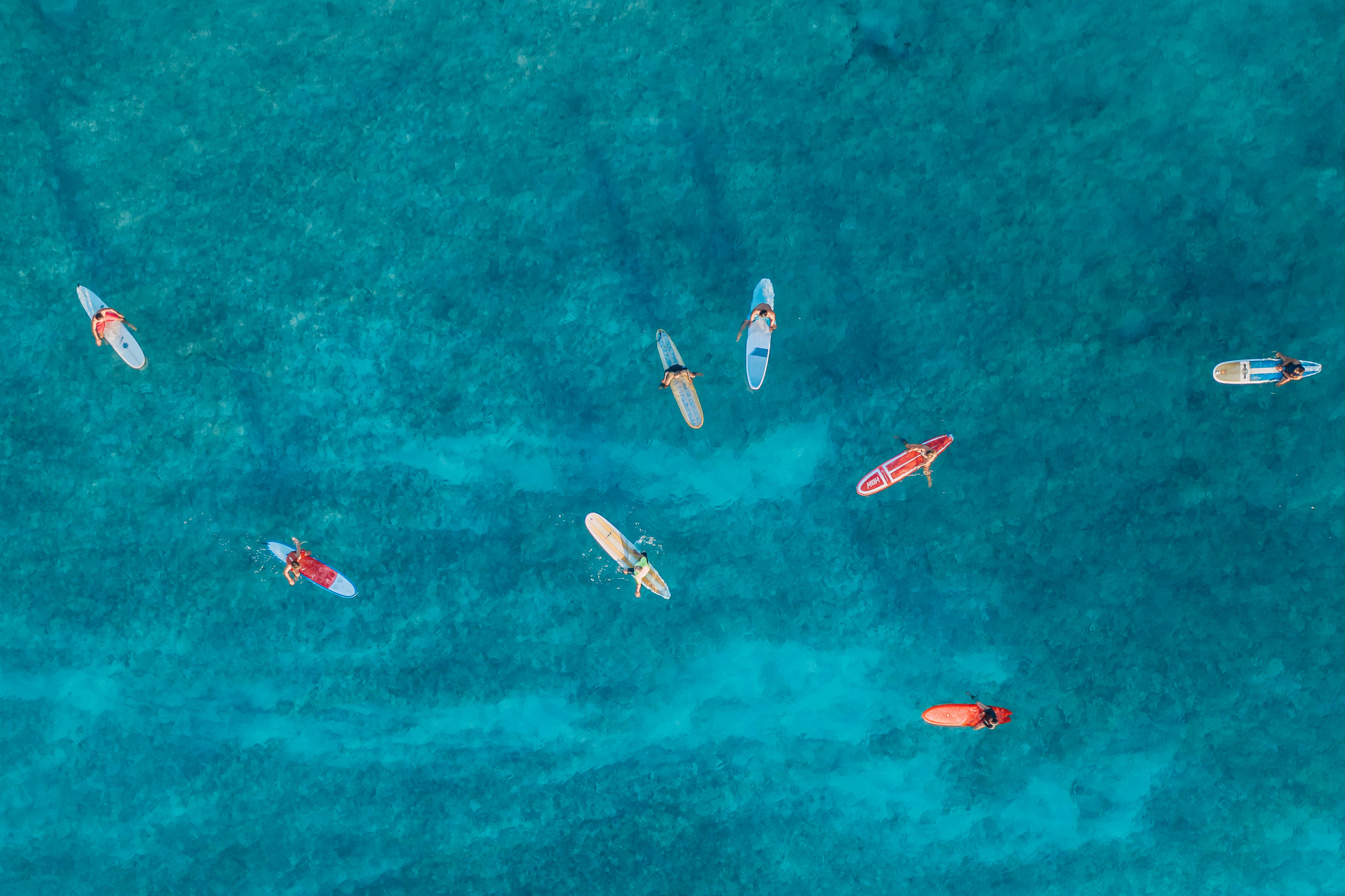 Top View of Surfers on Sea · Free Stock Photo