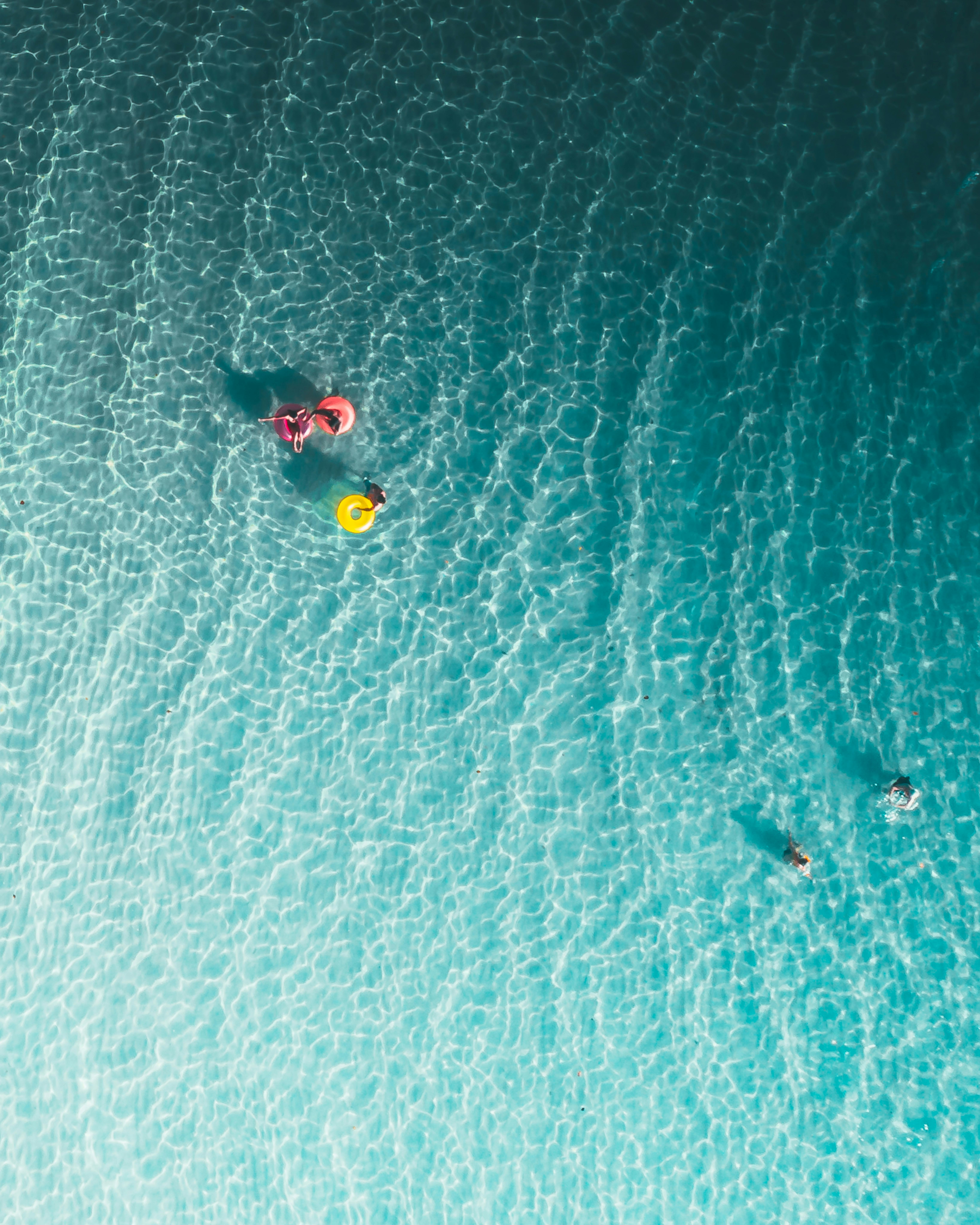 People in Water · Free Stock Photo