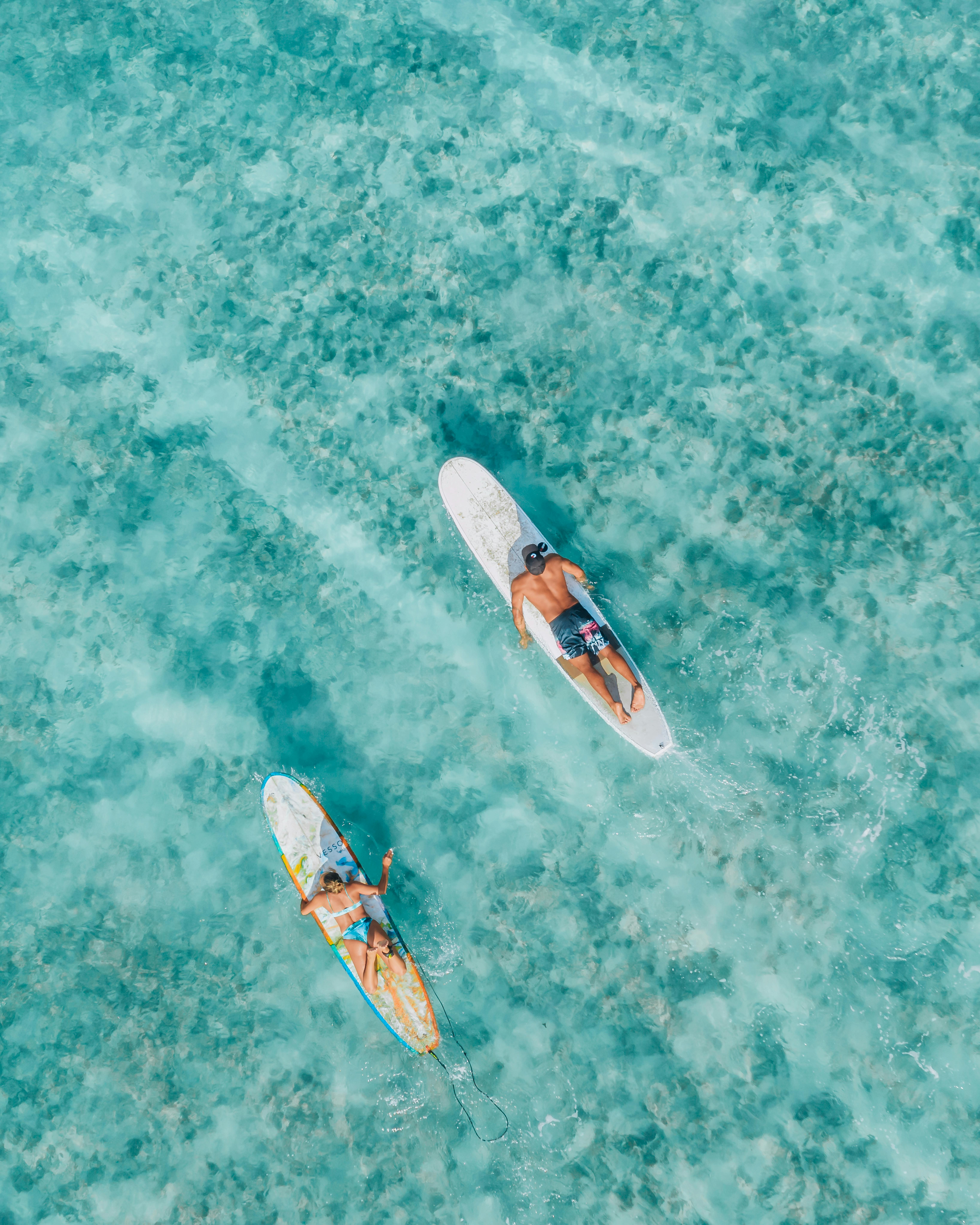Surfers on Water · Free Stock Photo