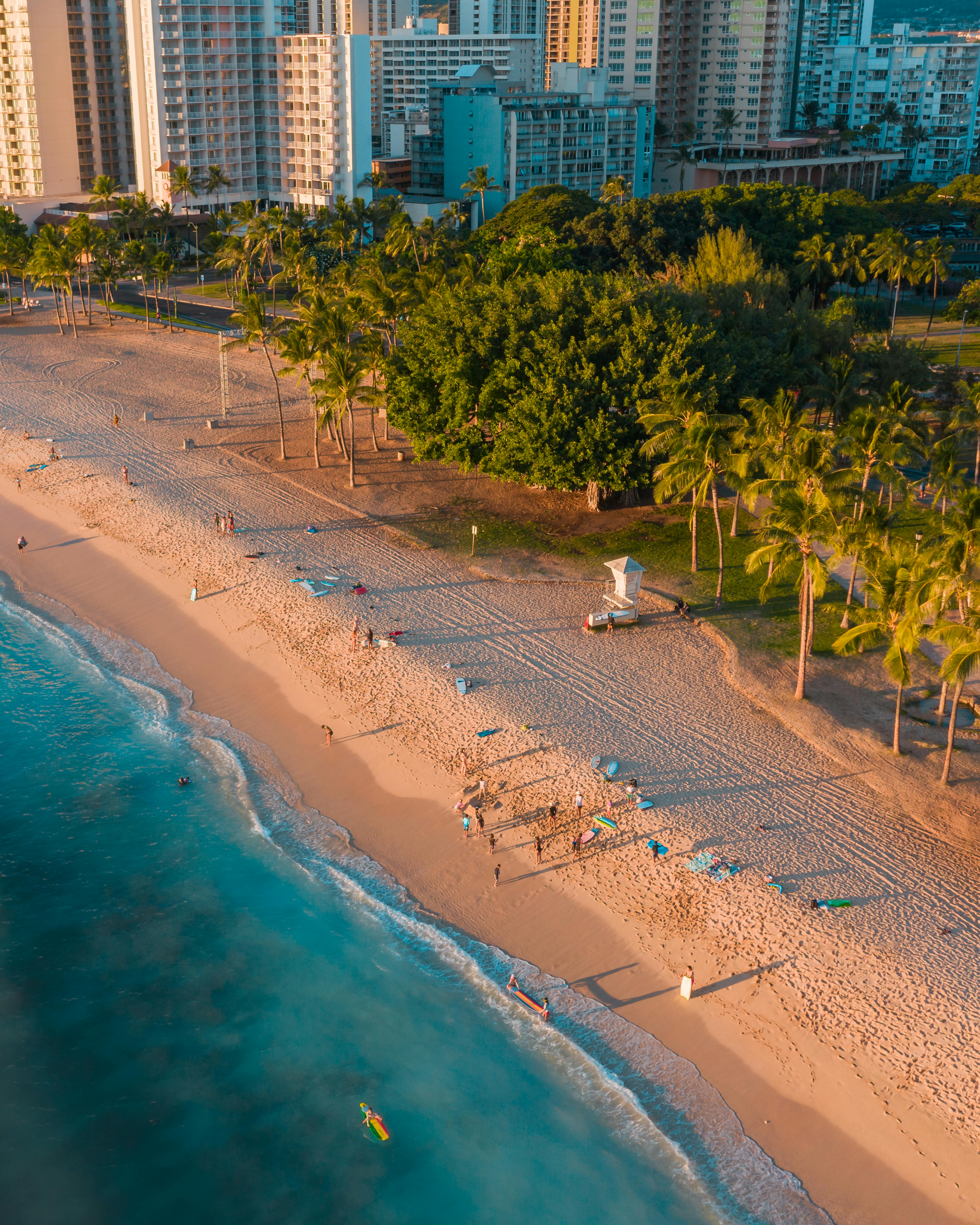 People on the Beautiful Beach · Free Stock Photo